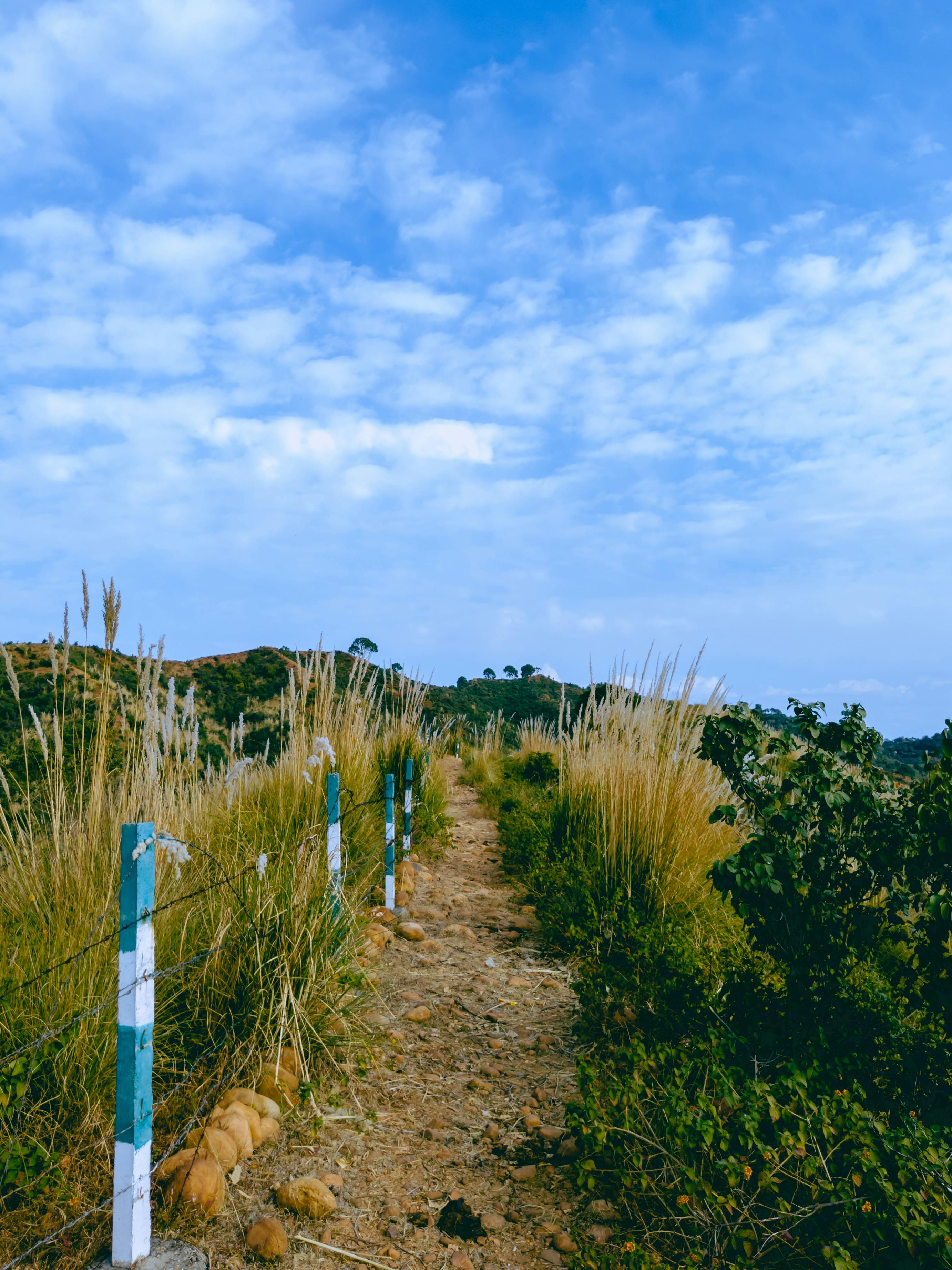 Pathway Beside a Fence · Free Stock Photo