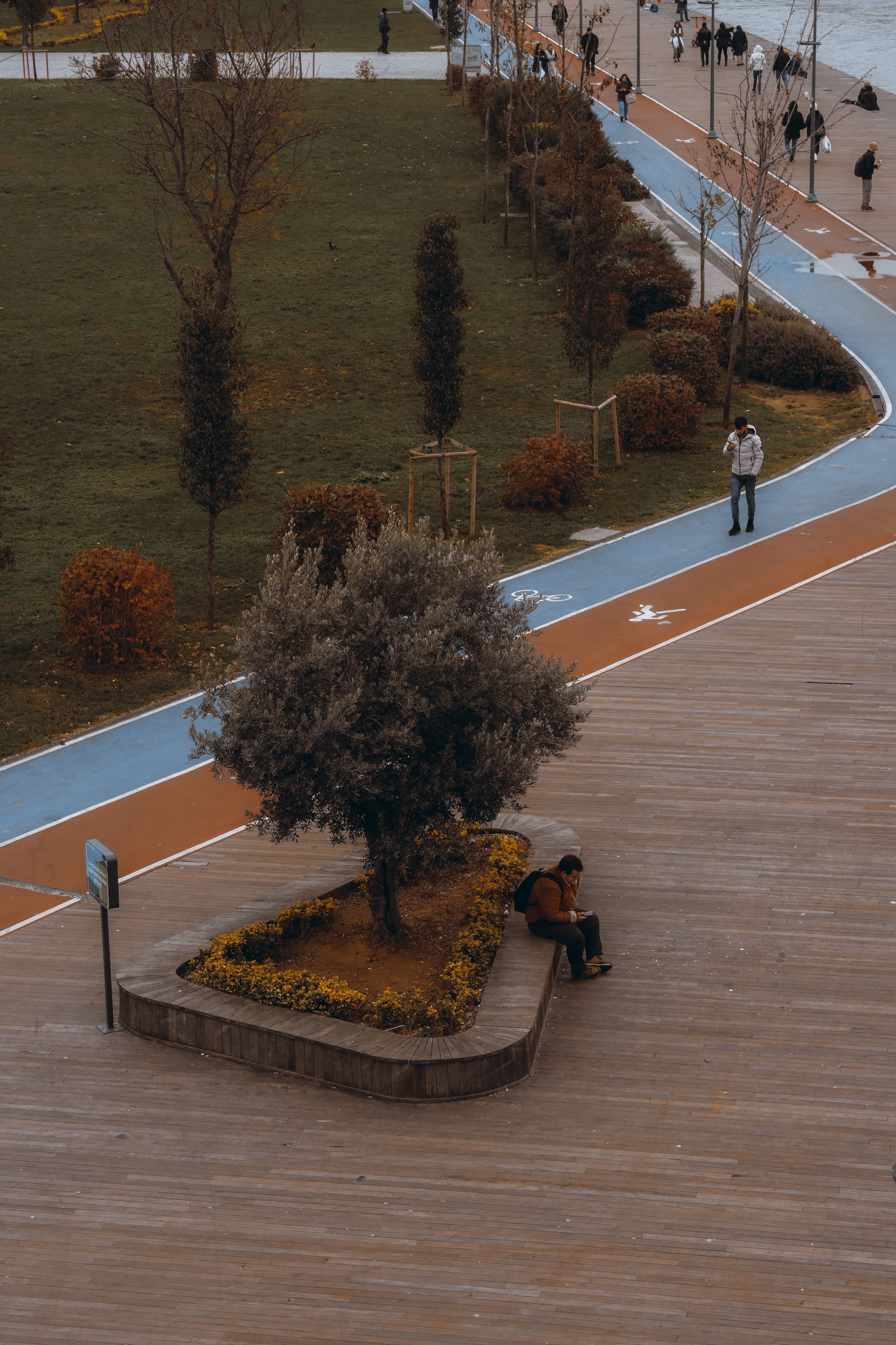 Aerial View of a Boardwalk with Trees and Meadow on the Side in City ...