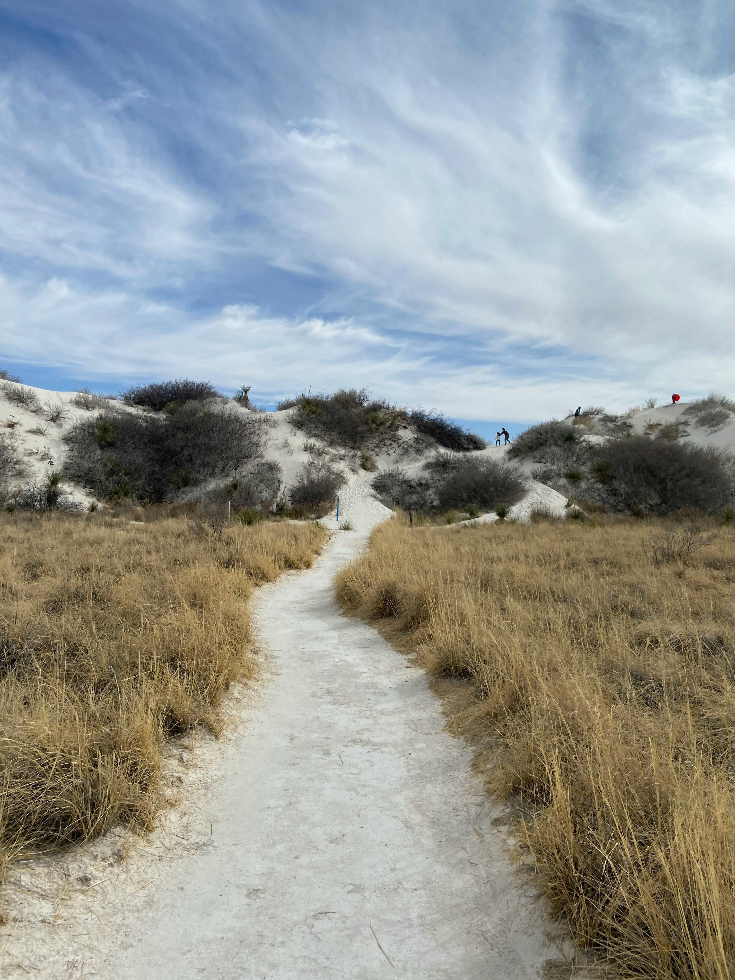 Dirt Path in between Brown Grass Field · Free Stock Photo