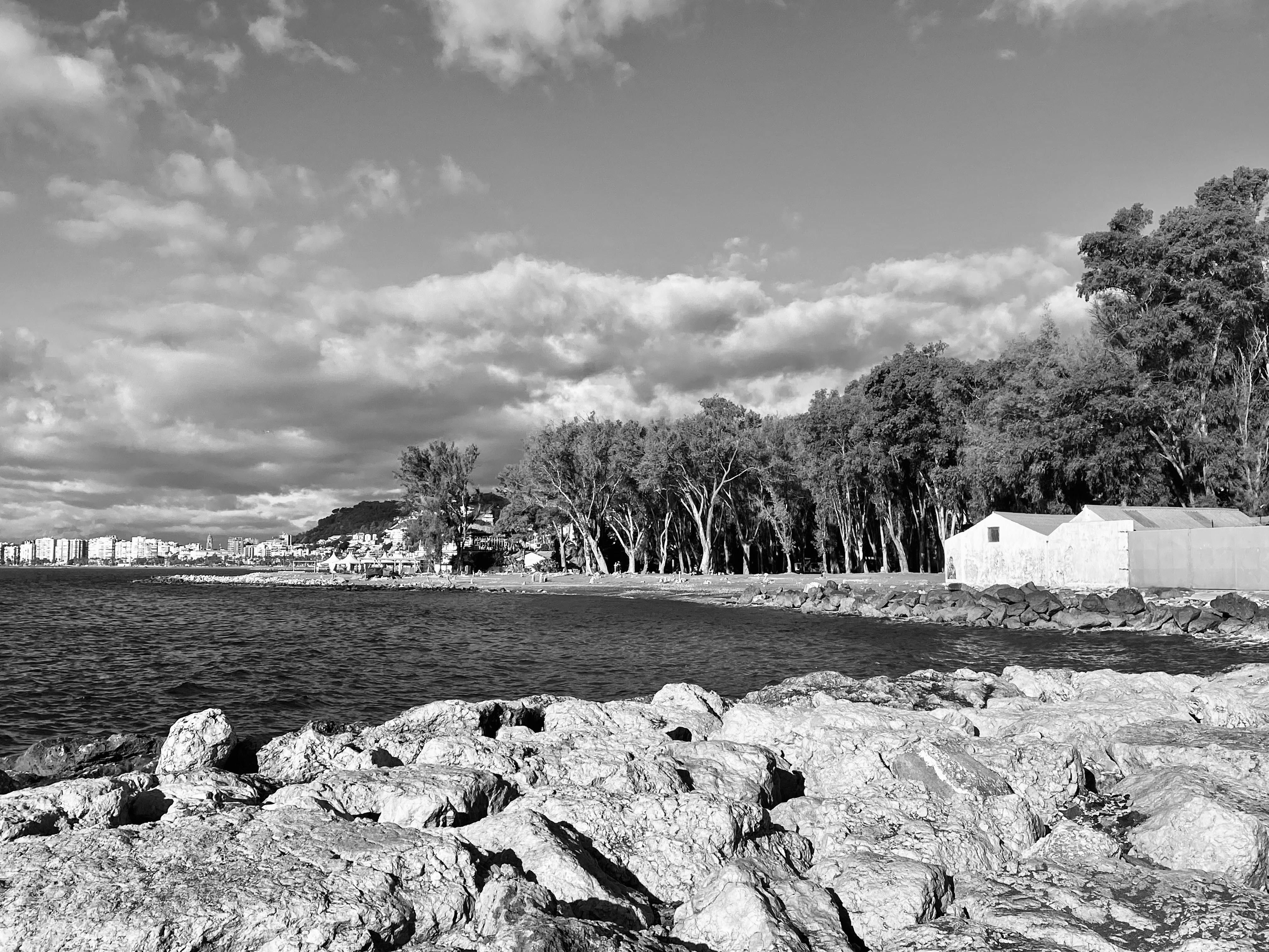 Igor I. - Fotografía