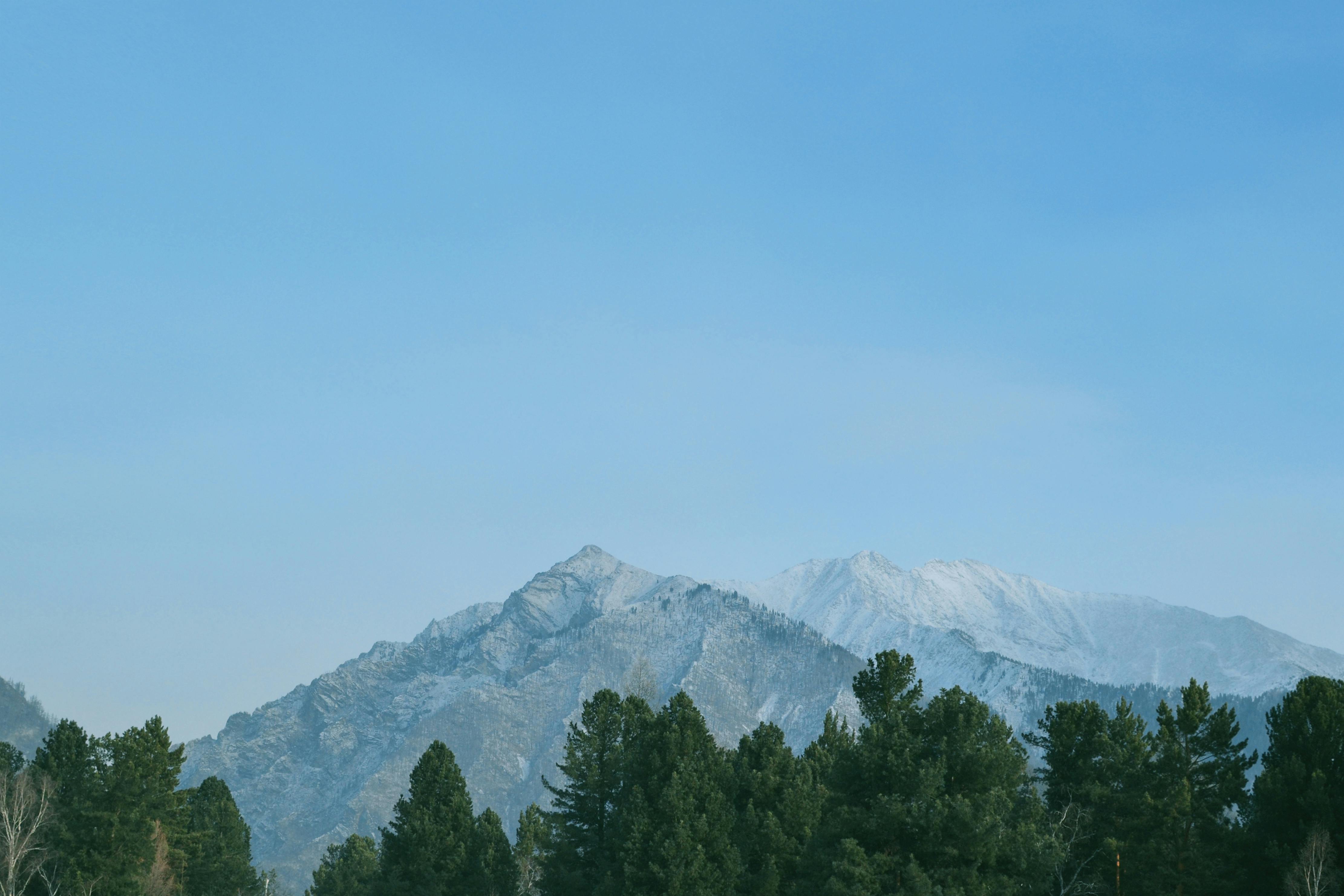 Clear Sky over Mountains and Trees · Free Stock Photo
