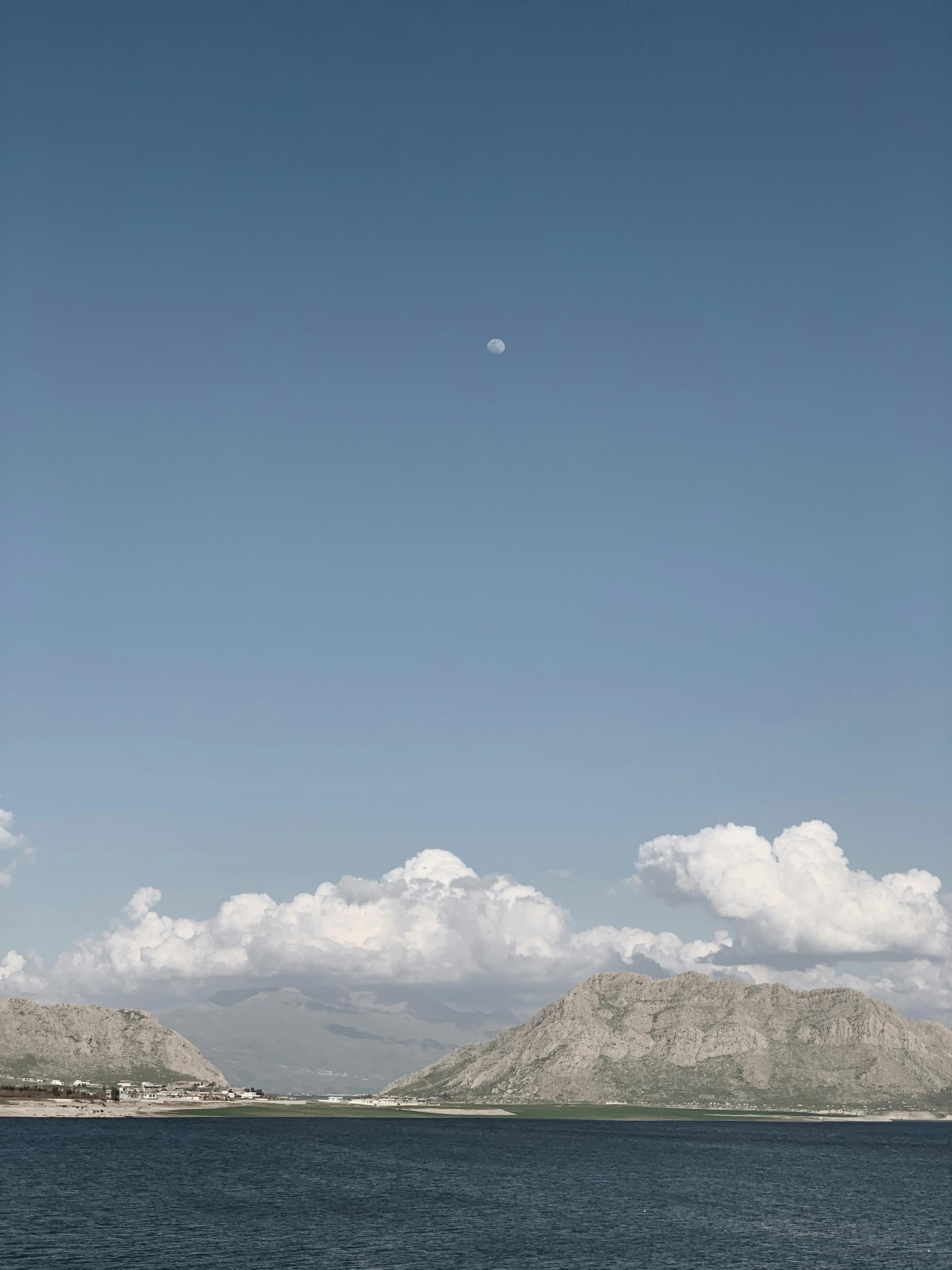 Yellow Flower Field Near Sea Under Blue Sky · Free Stock Photo
