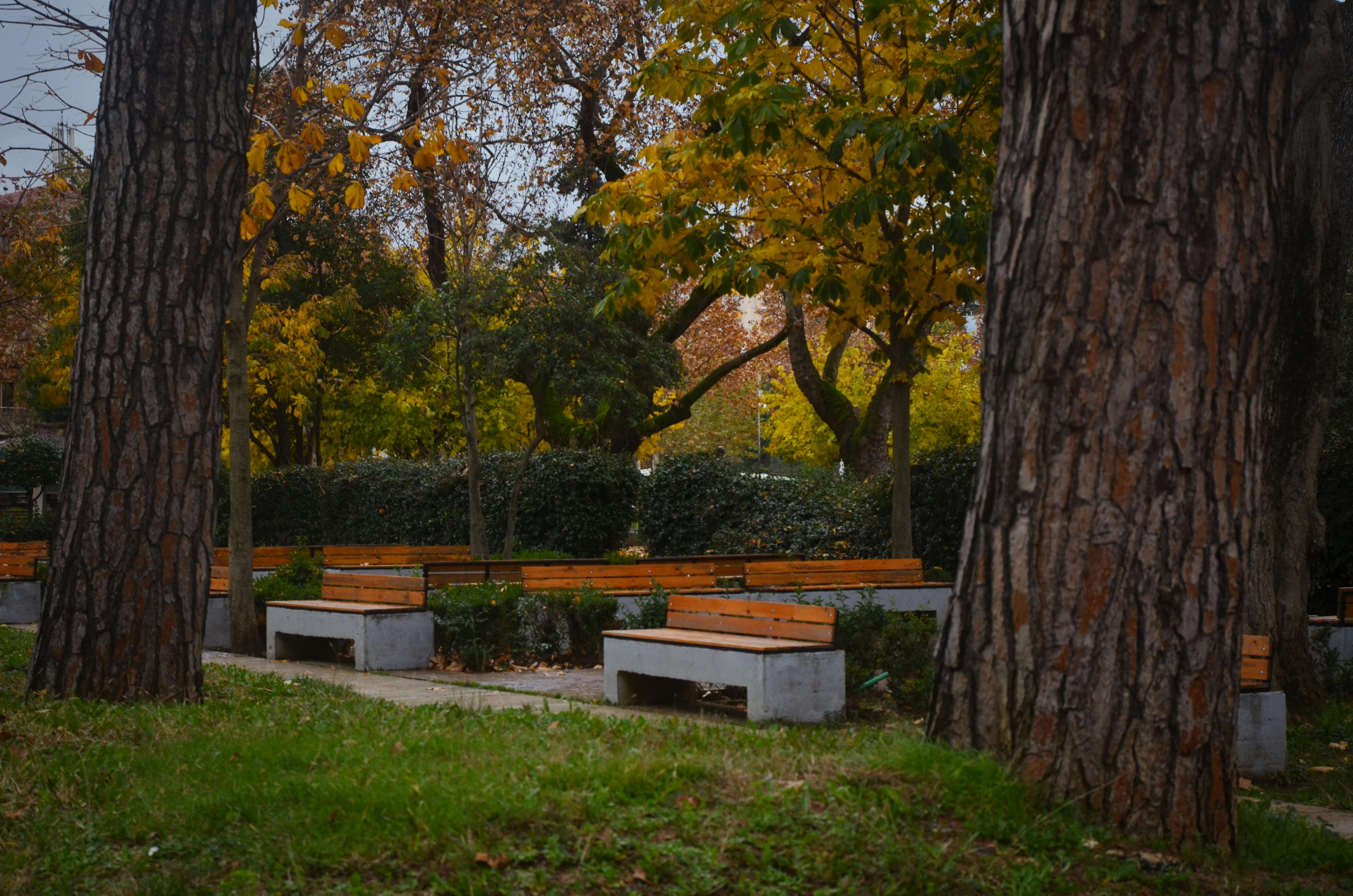 Empty Dustbin Photos, Download Free Empty Dustbin Stock Photos & HD Images