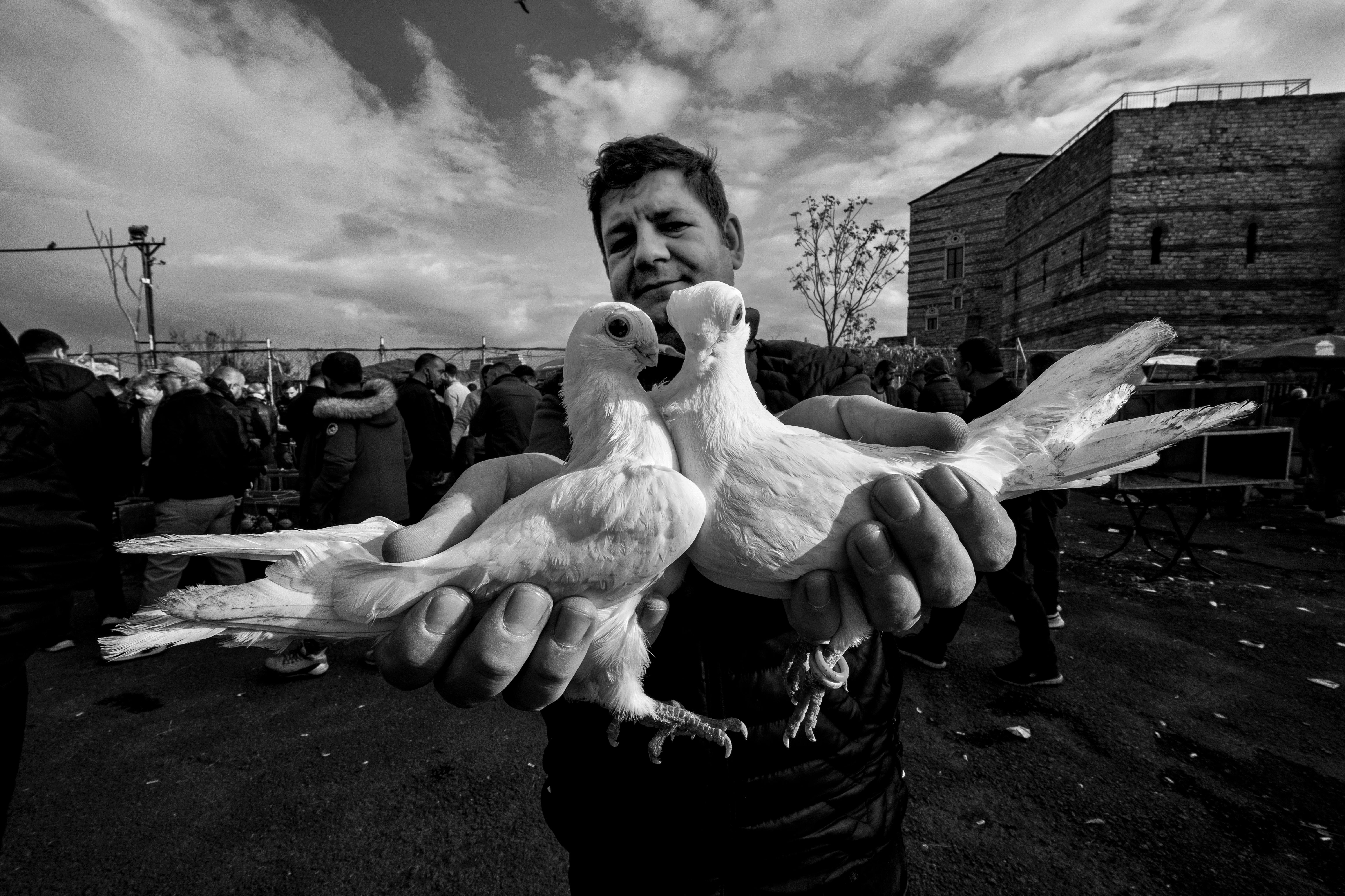 Grayscale Photo of Man Holding Birds · Free Stock Photo