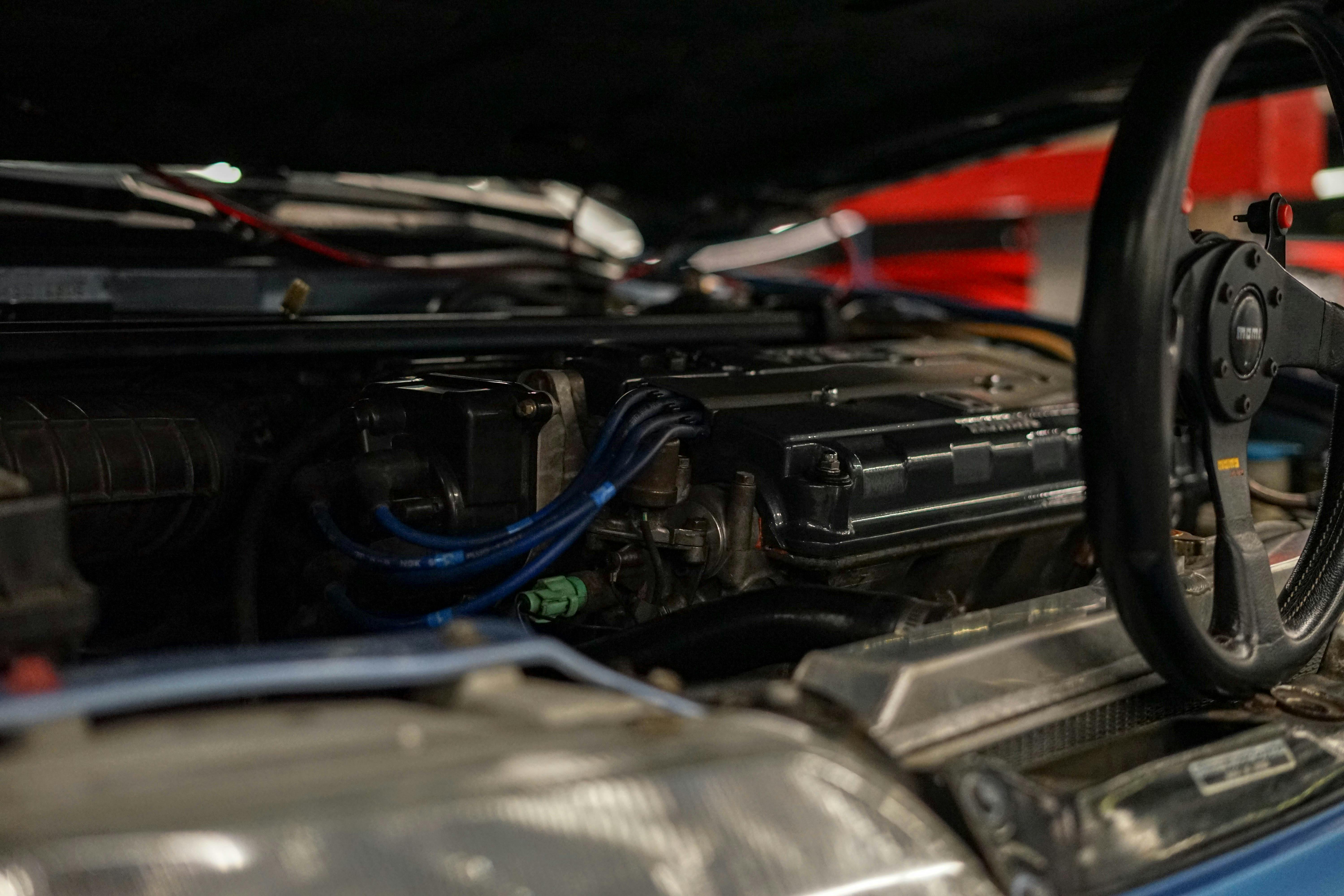 Prince Shrestha - Fotografía