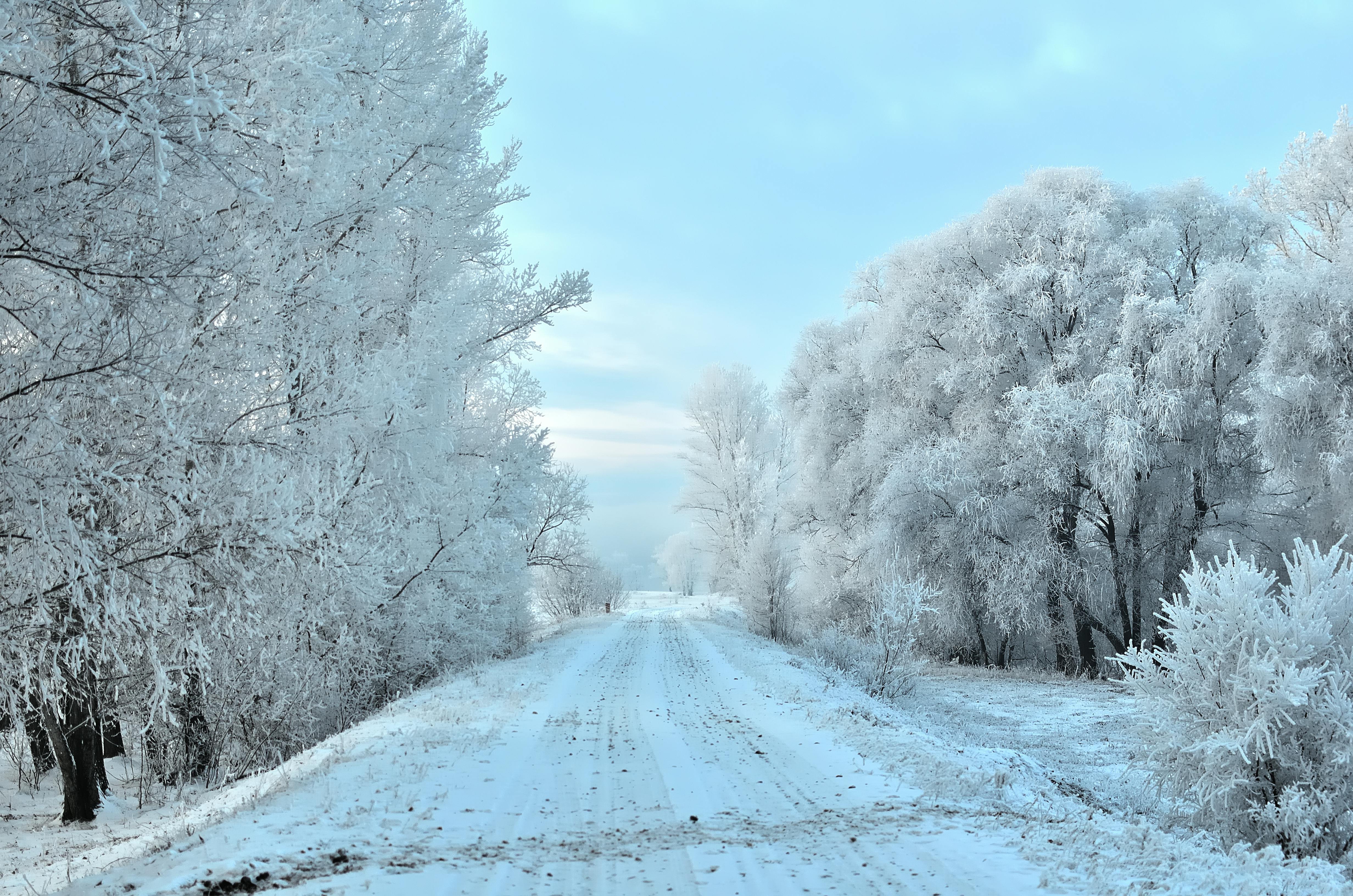 Road Covered in Snow · Free Stock Photo