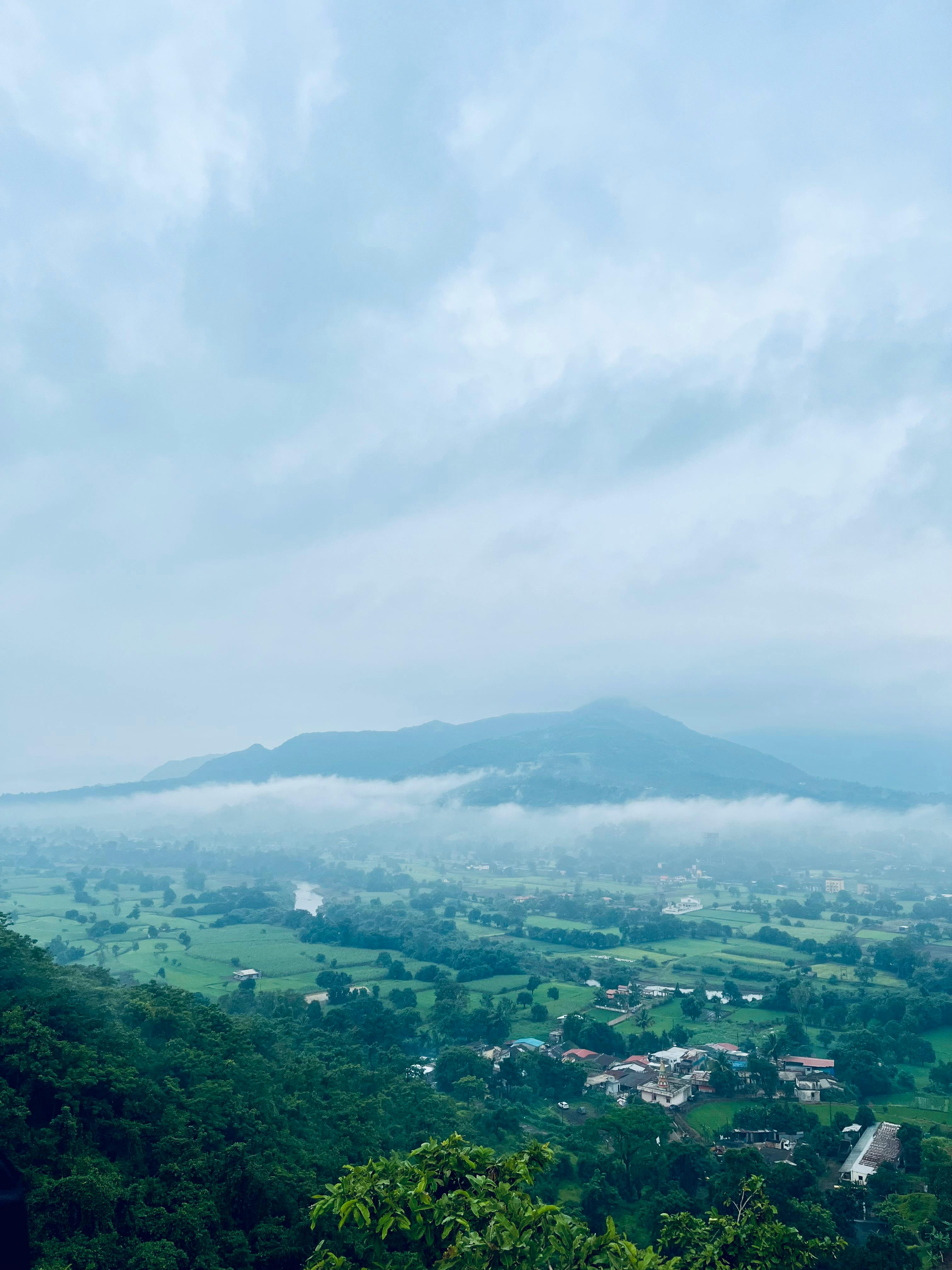 Libin Andrews - 写真