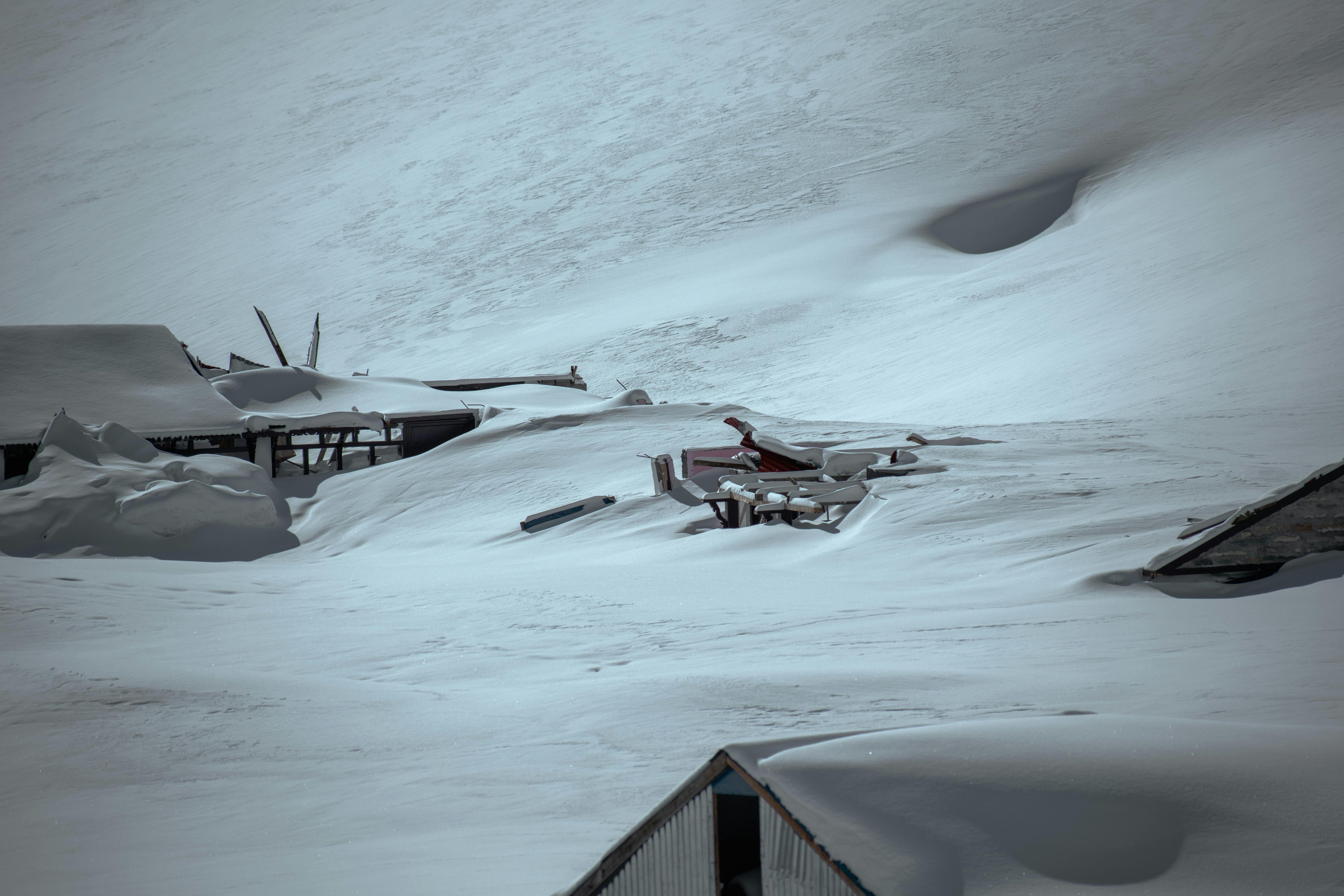 Snowy Field · Free Stock Photo