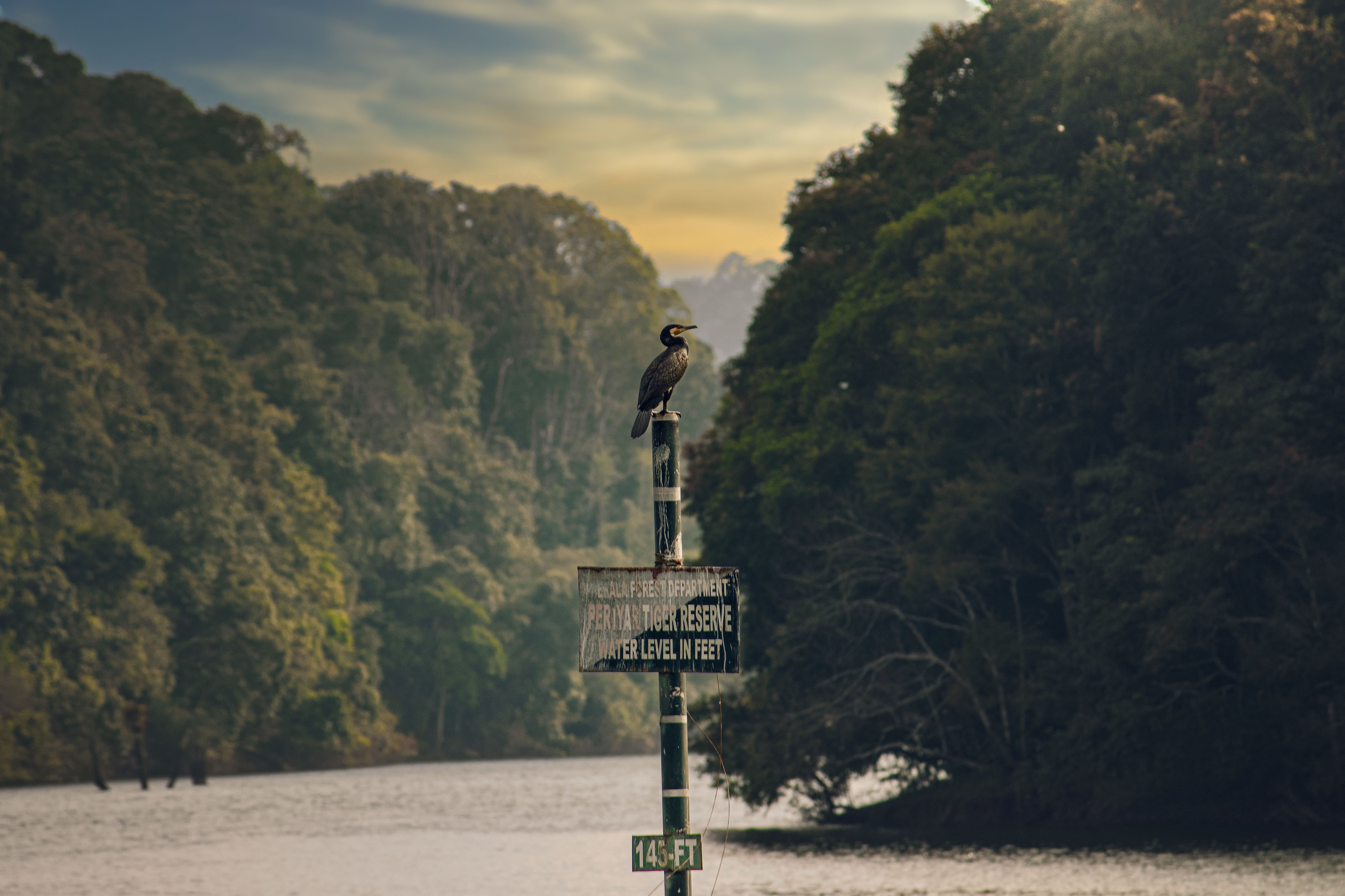 Bird Sanctuary Photos, Download The BEST Free Bird Sanctuary Stock ...
