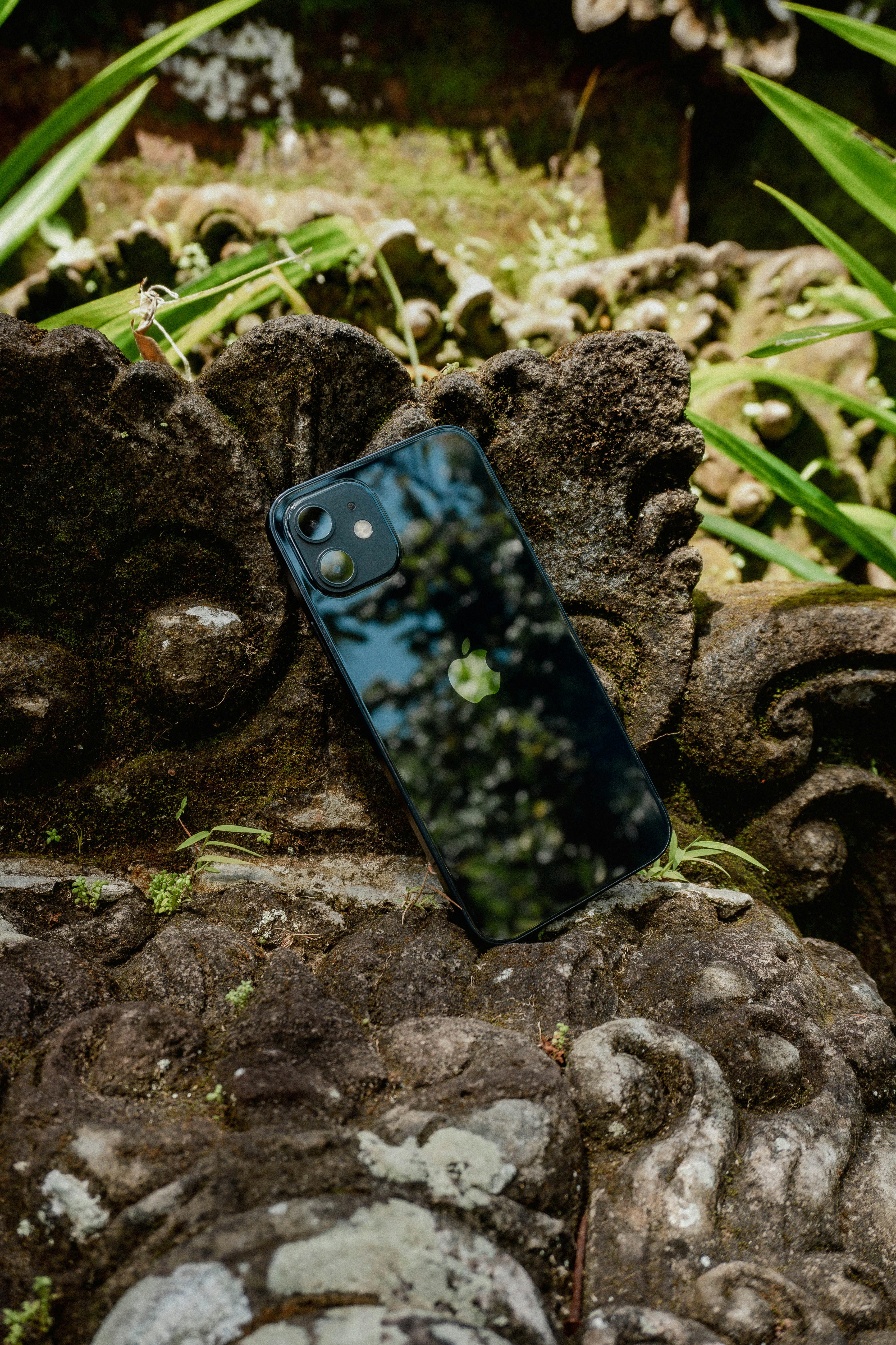 Phone Grave Photos, Download The BEST Free Phone Grave Stock Photos ...