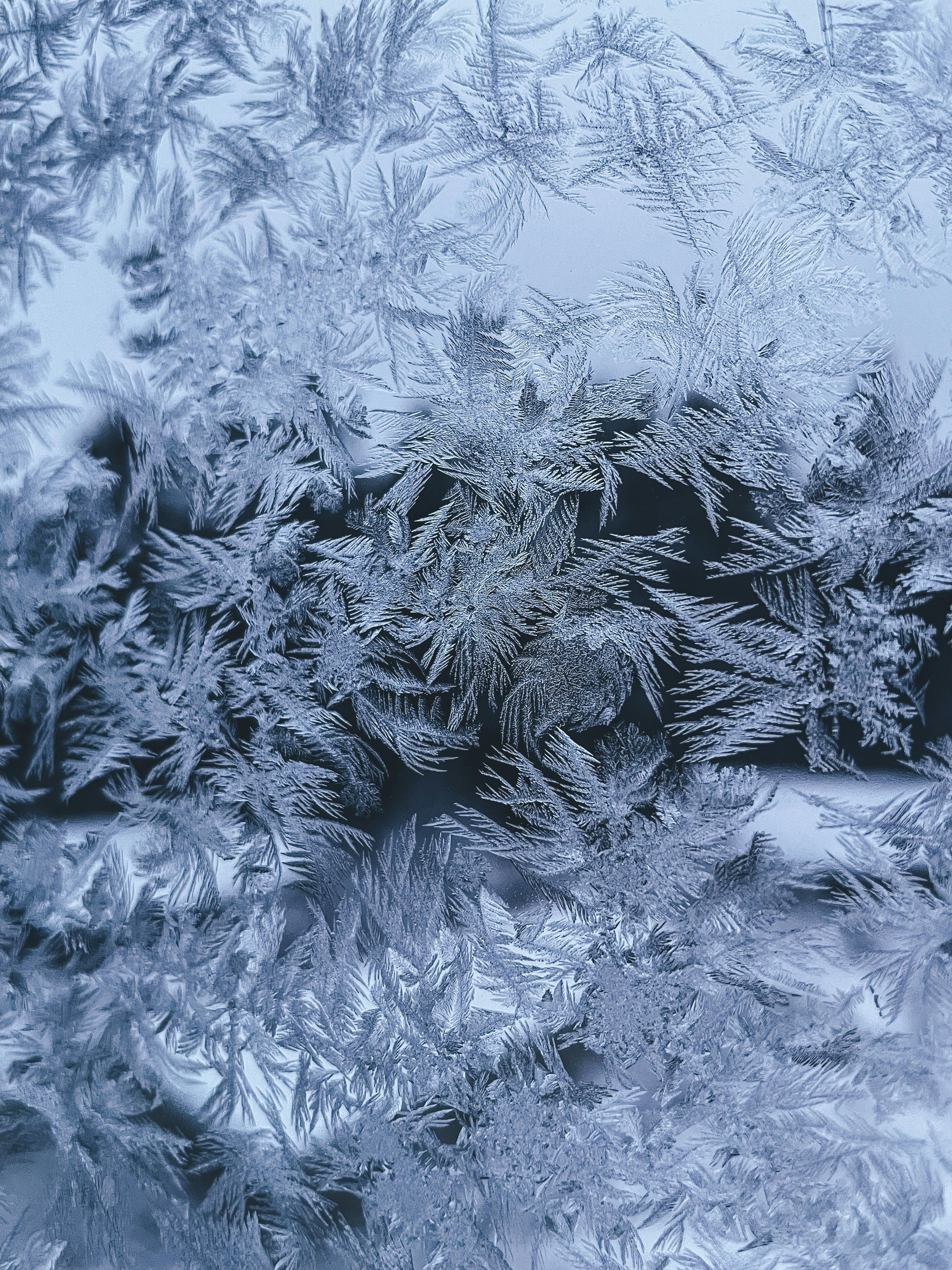 Foto de stock gratuita sobre abstracto, al aire libre, ambiente ...