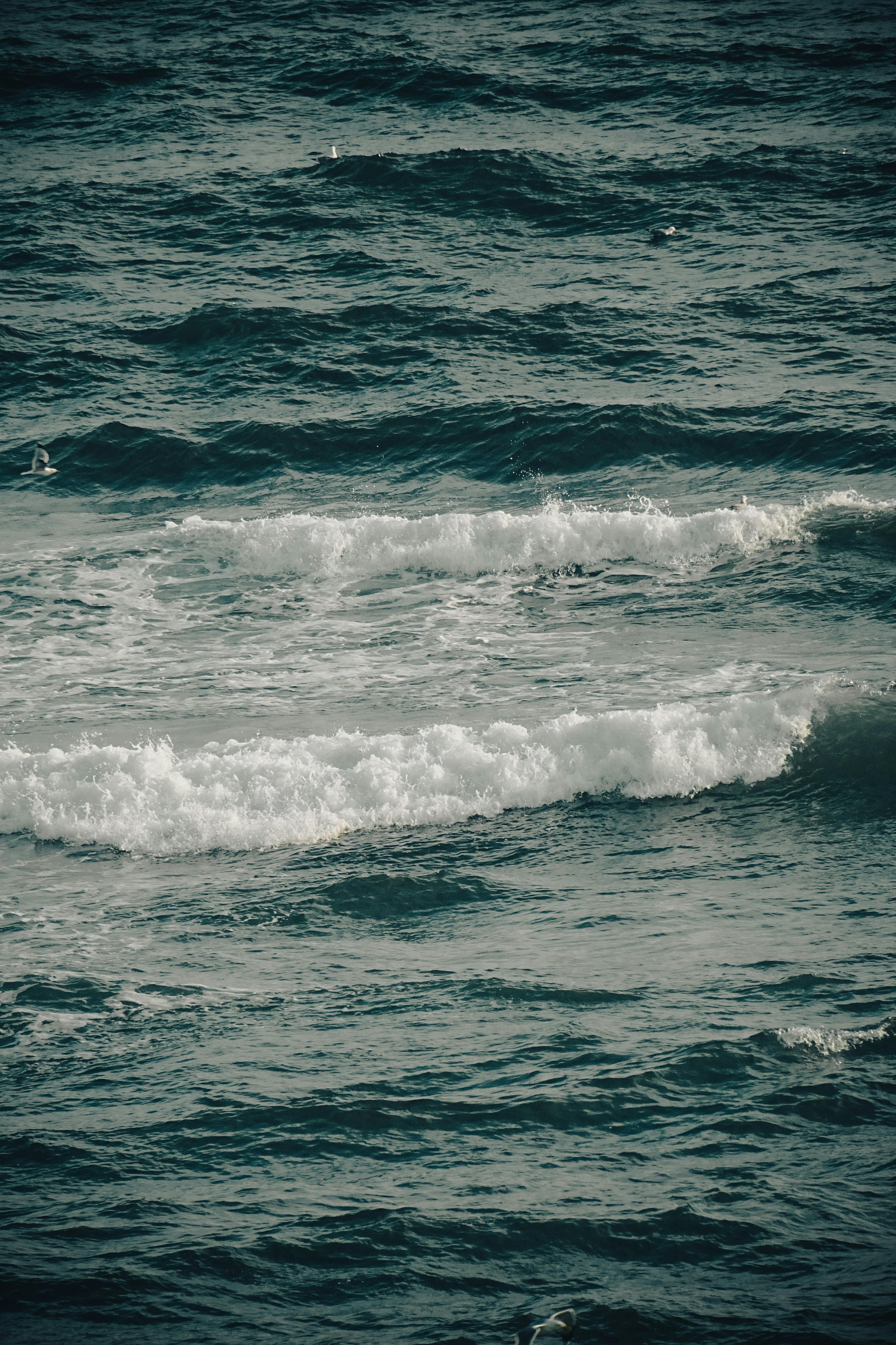 Ocean Waves · Free Stock Photo