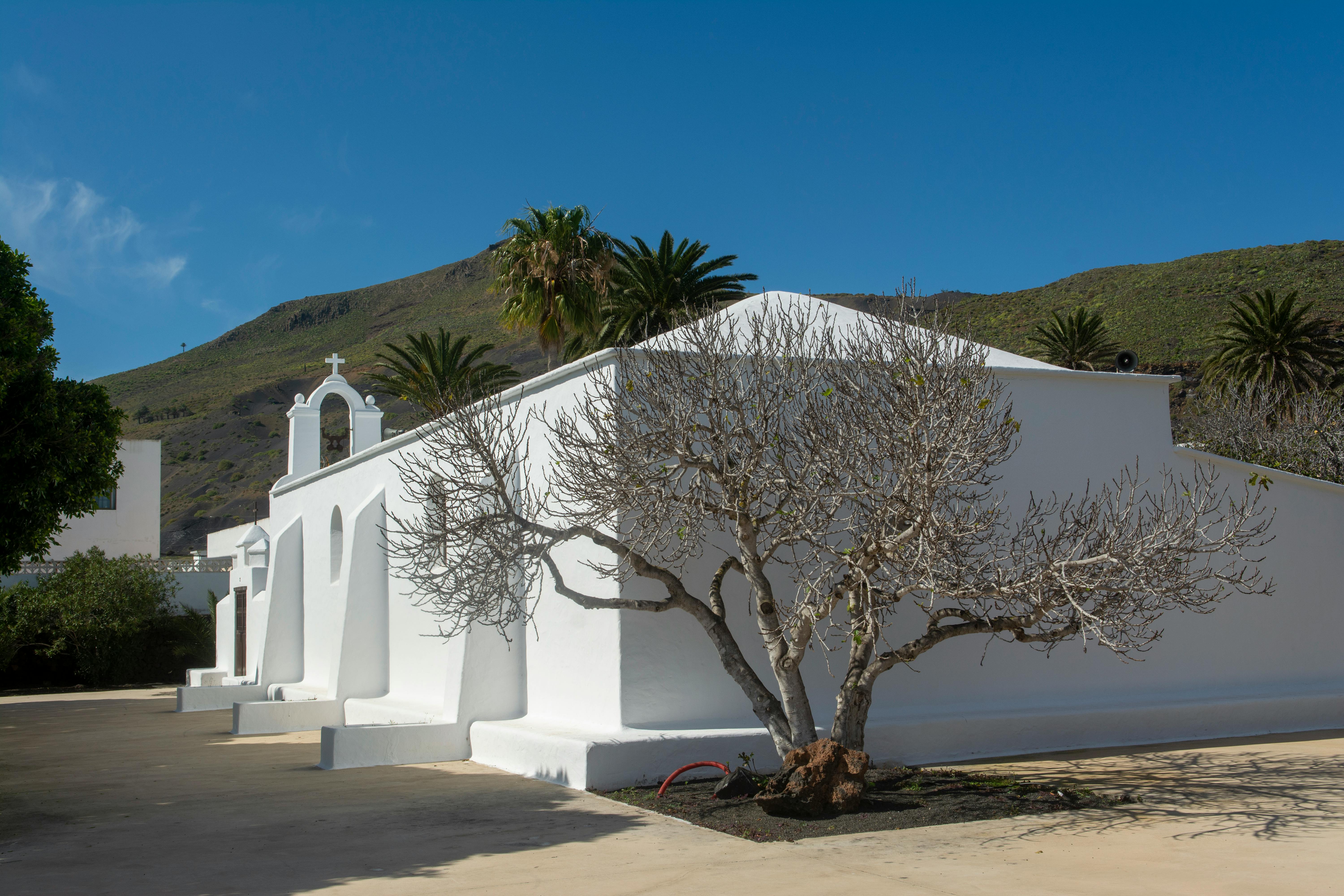 Bare Trees Growing near the Church · Free Stock Photo