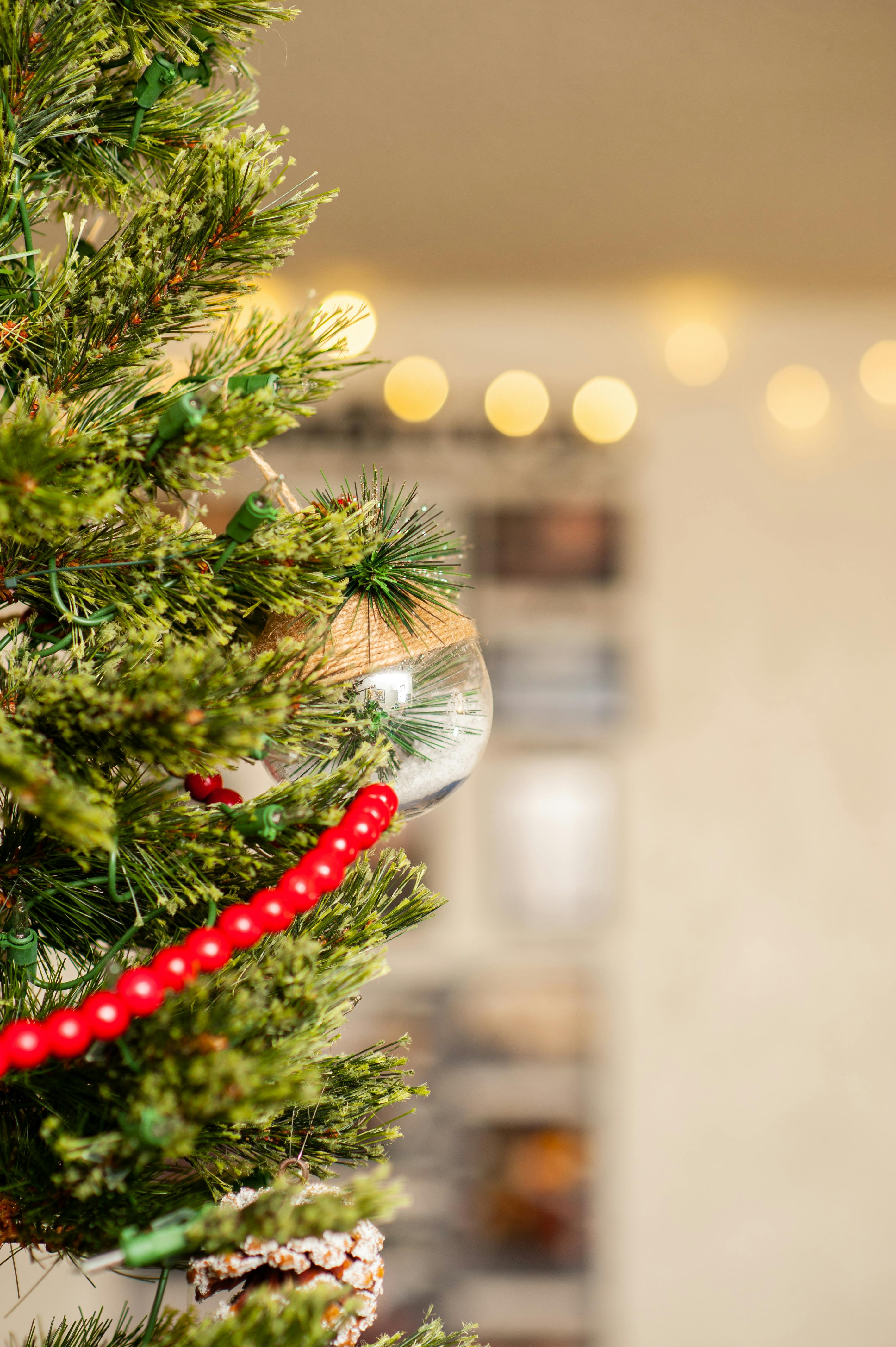Christmas Ball on Green Christmas Tree · Free Stock Photo