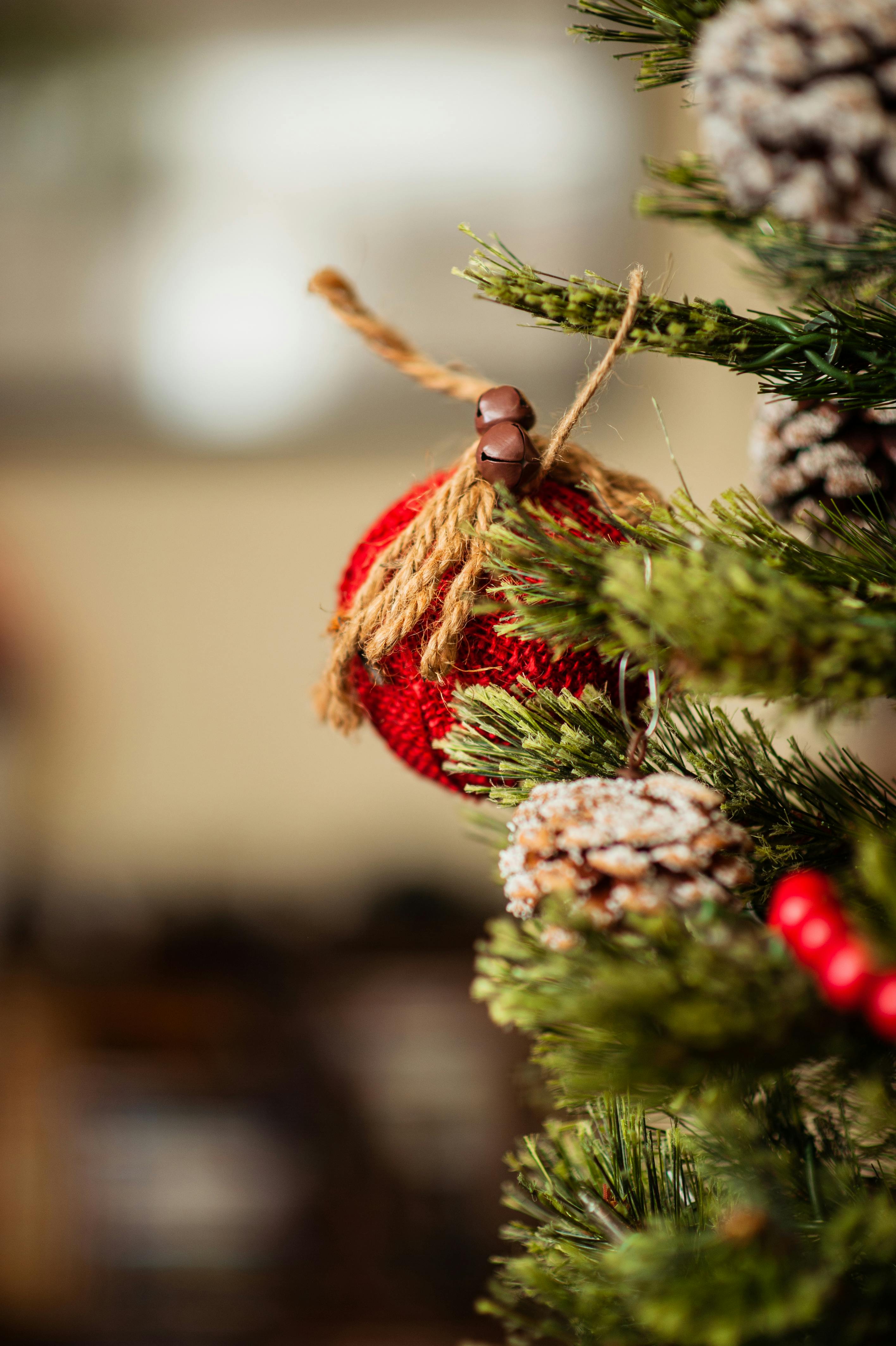 Ornament Hanging on a Decorated Christmas Tree · Free Stock Photo
