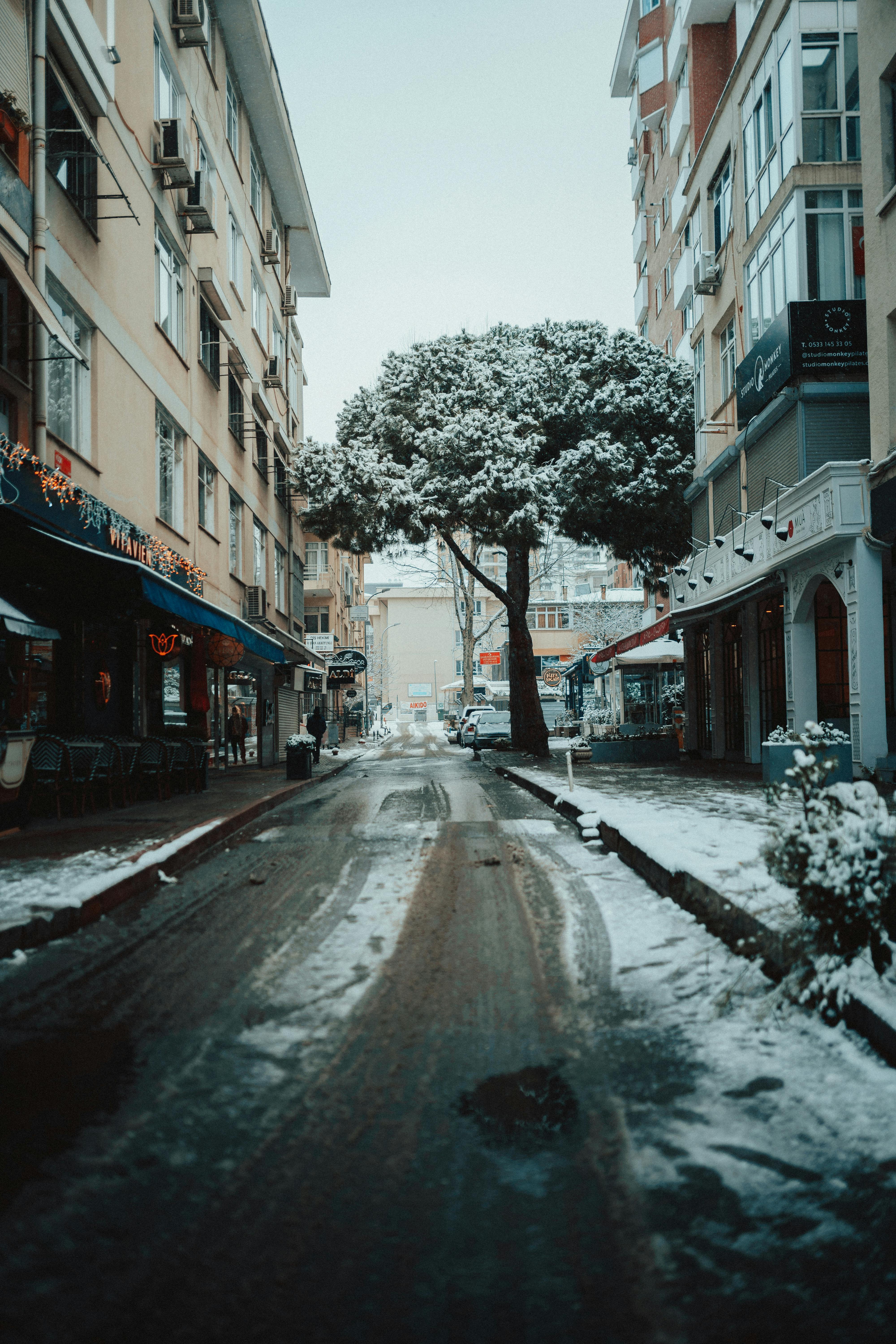 City Street in Winter · Free Stock Photo