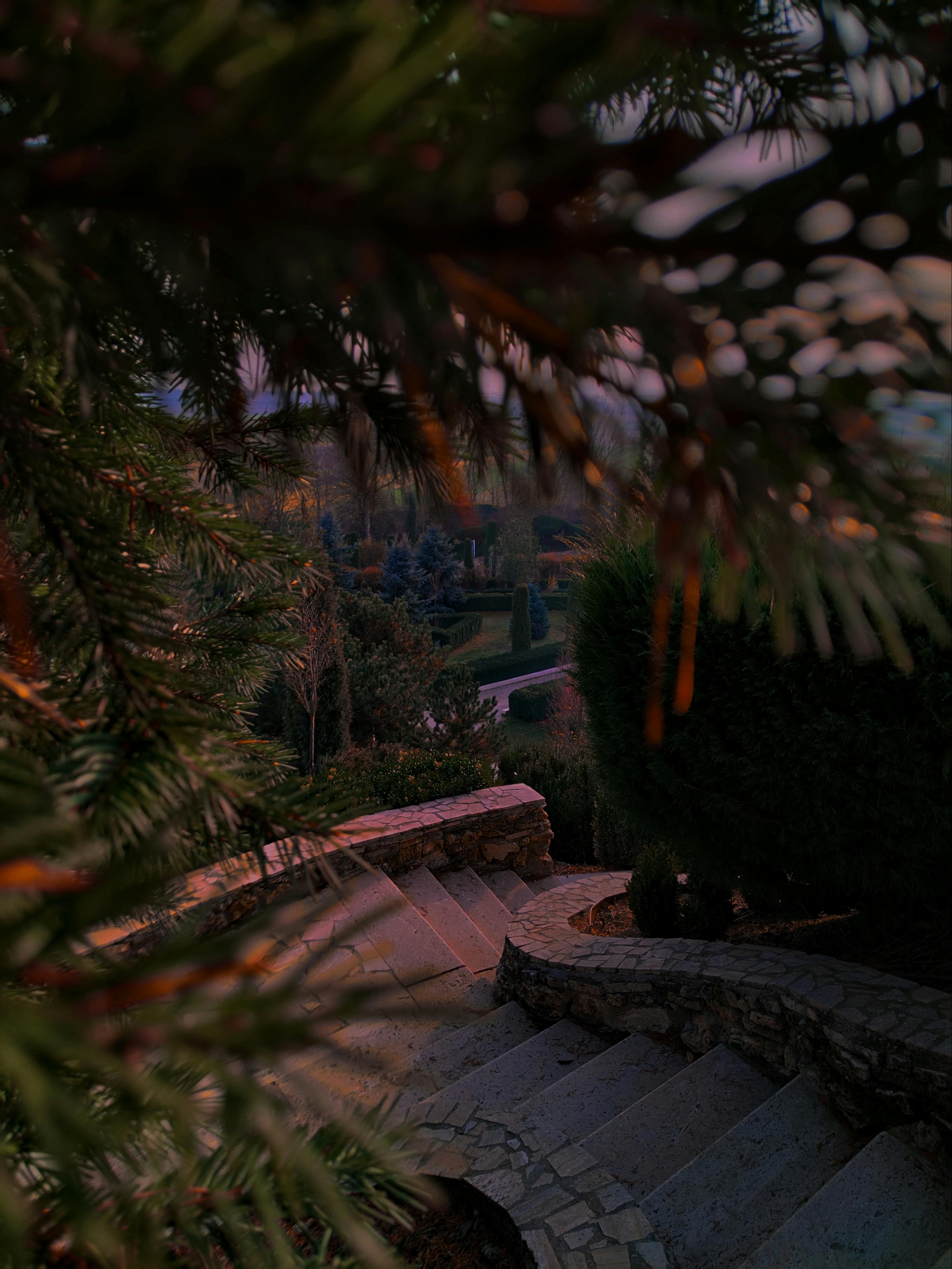 Scary Steps Photos, Download The BEST Free Scary Steps Stock Photos ...