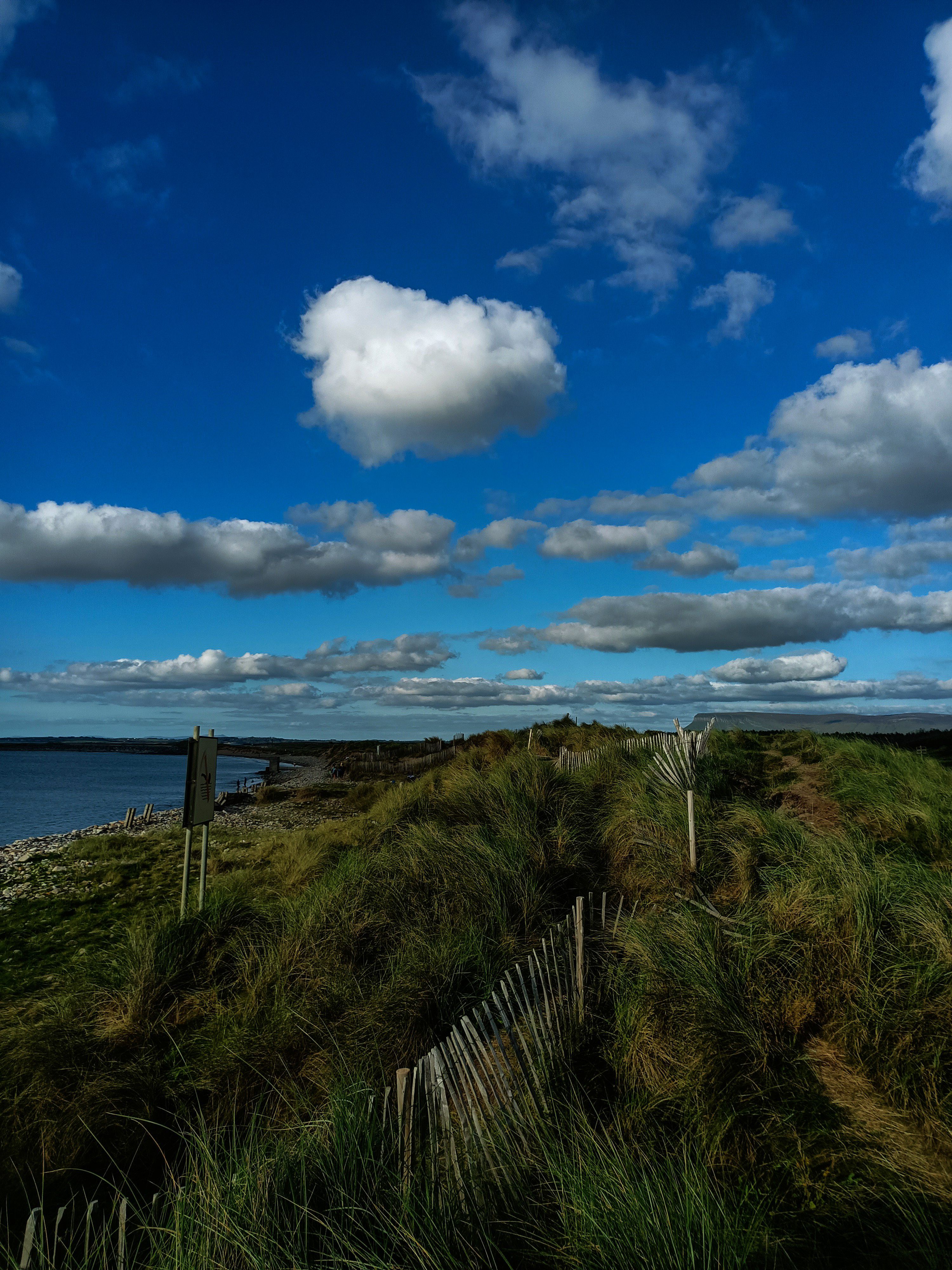 Green Grass Near a Sea Under Blue Sky · Free Stock Photo