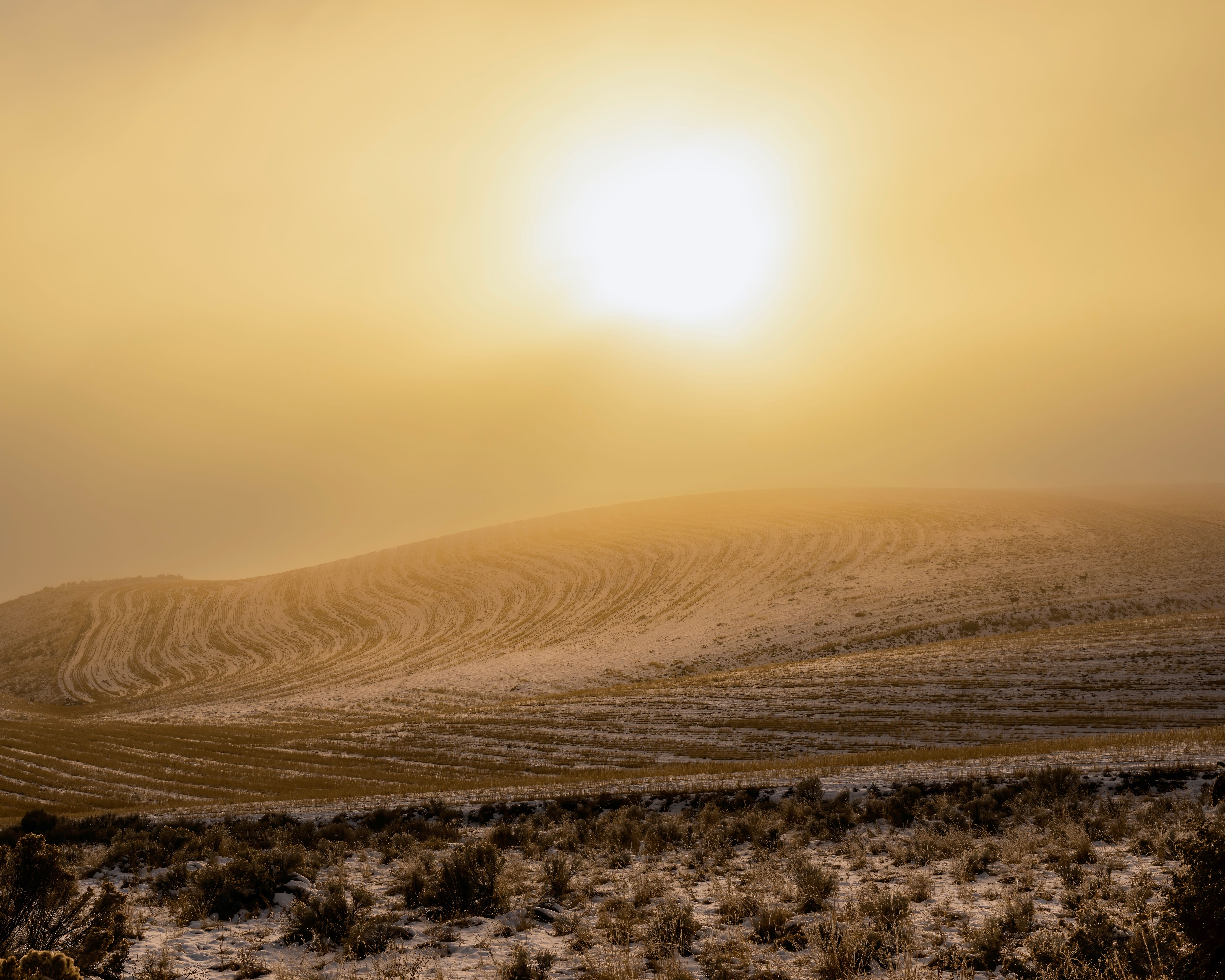 Scenic Photo of a Field at Dawn · Free Stock Photo
