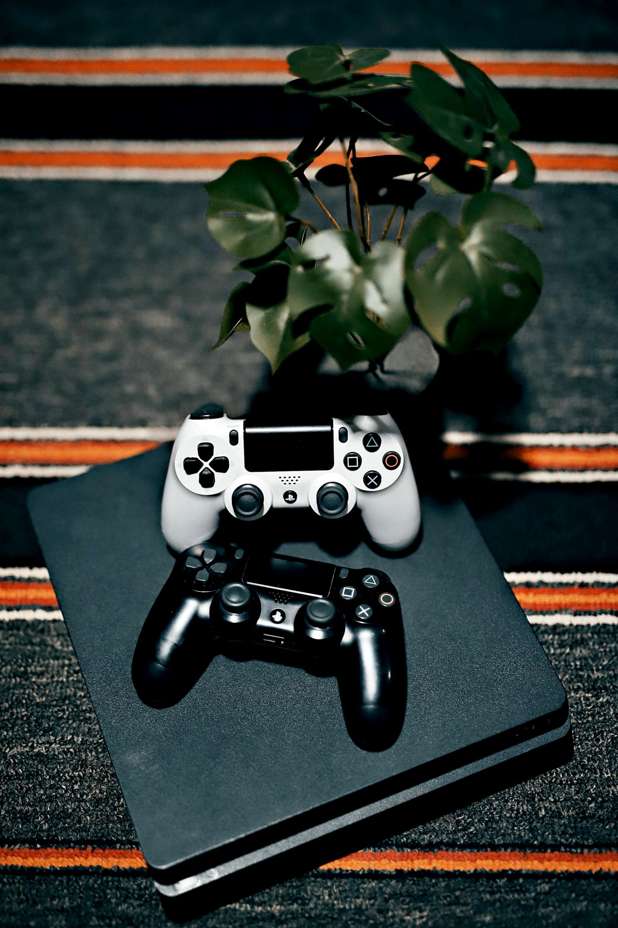 Composition of Two Game Controllers and a Plant · Free Stock Photo