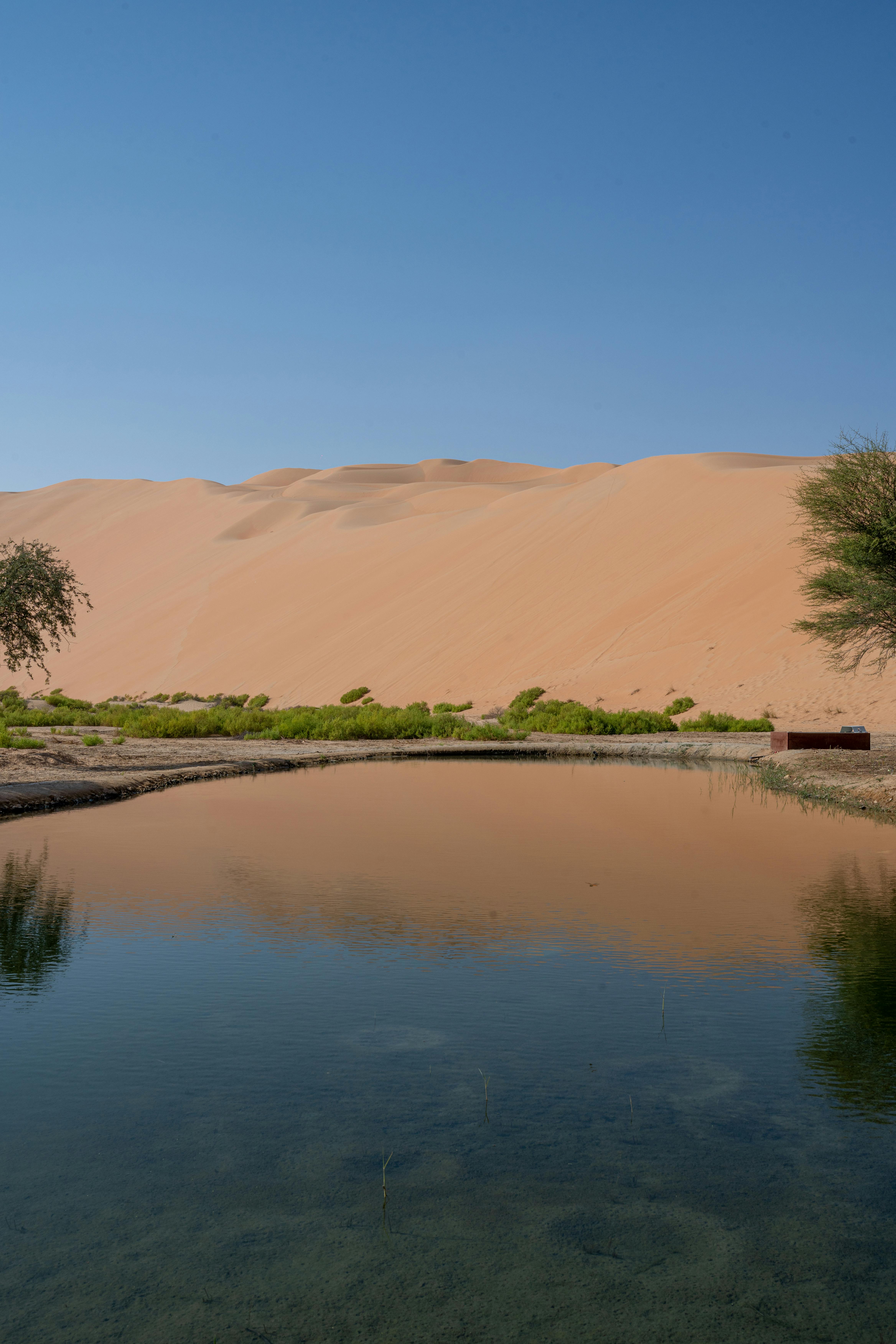 Symmetrical Image of a Sand Dune Reflecting in a Pond · Free Stock Photo
