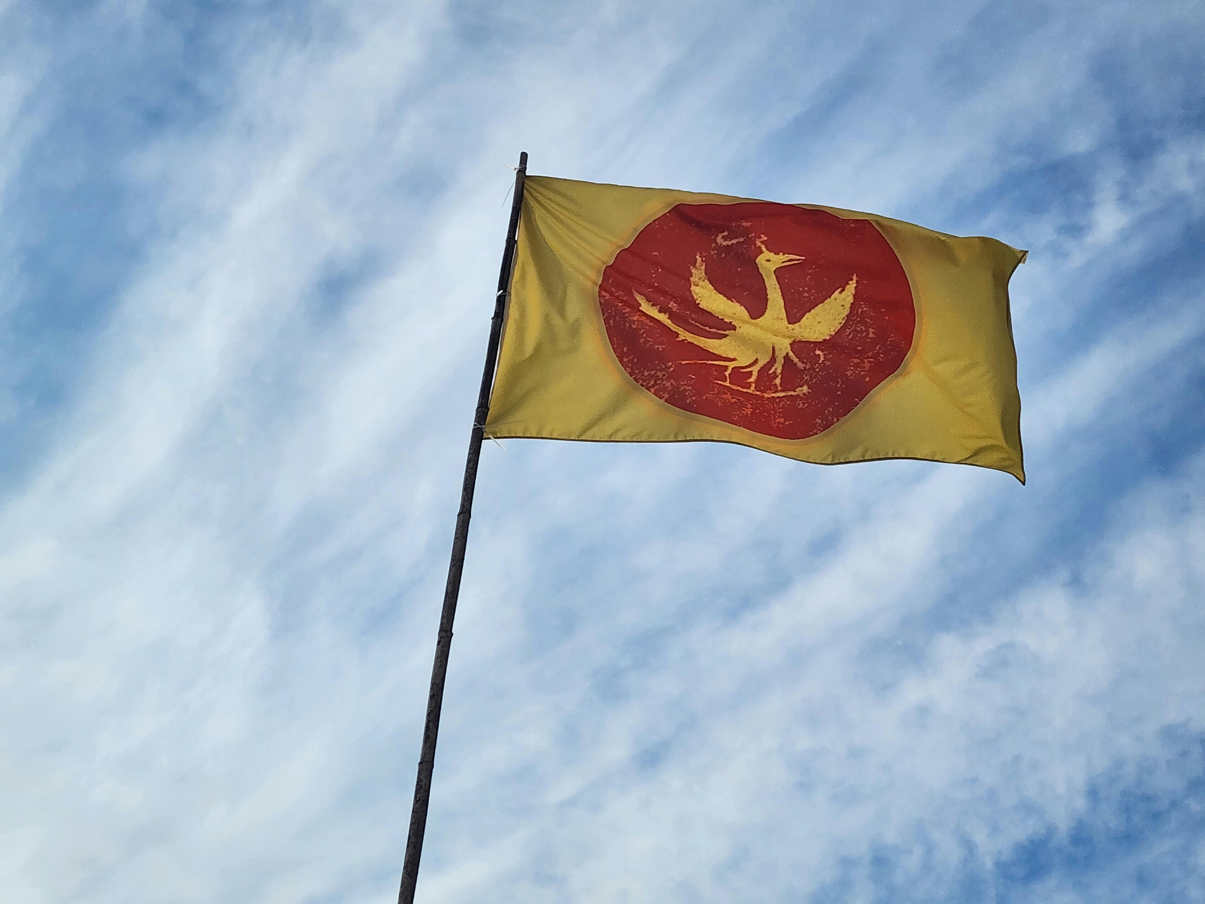 Howard Hong - Photography