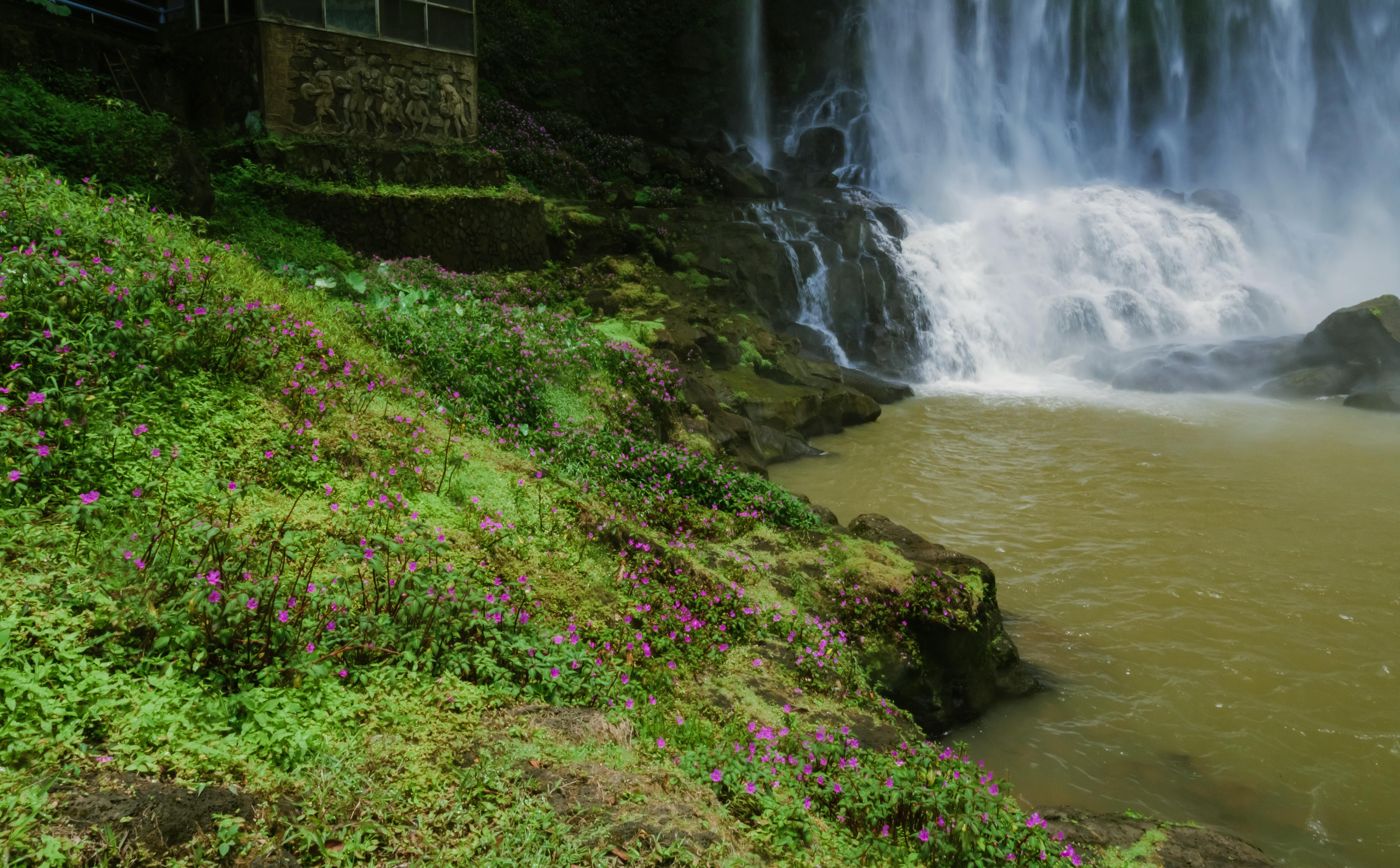 Flowing Water Photos, Download The BEST Free Flowing Water Stock Photos ...