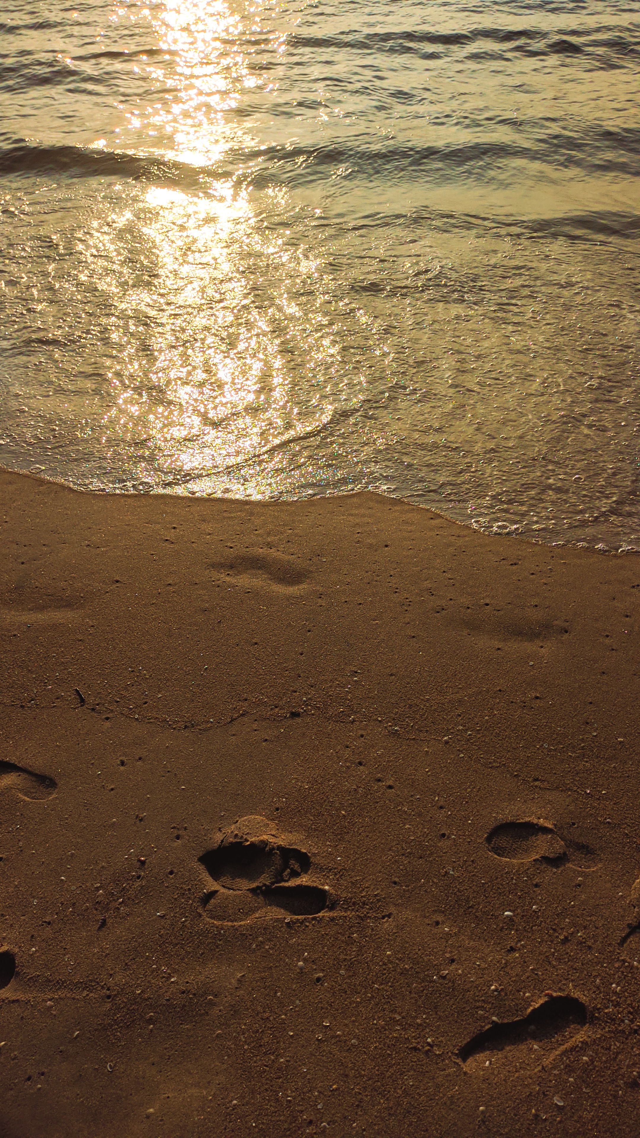Small Footprints Photos, Download The BEST Free Small Footprints Stock ...