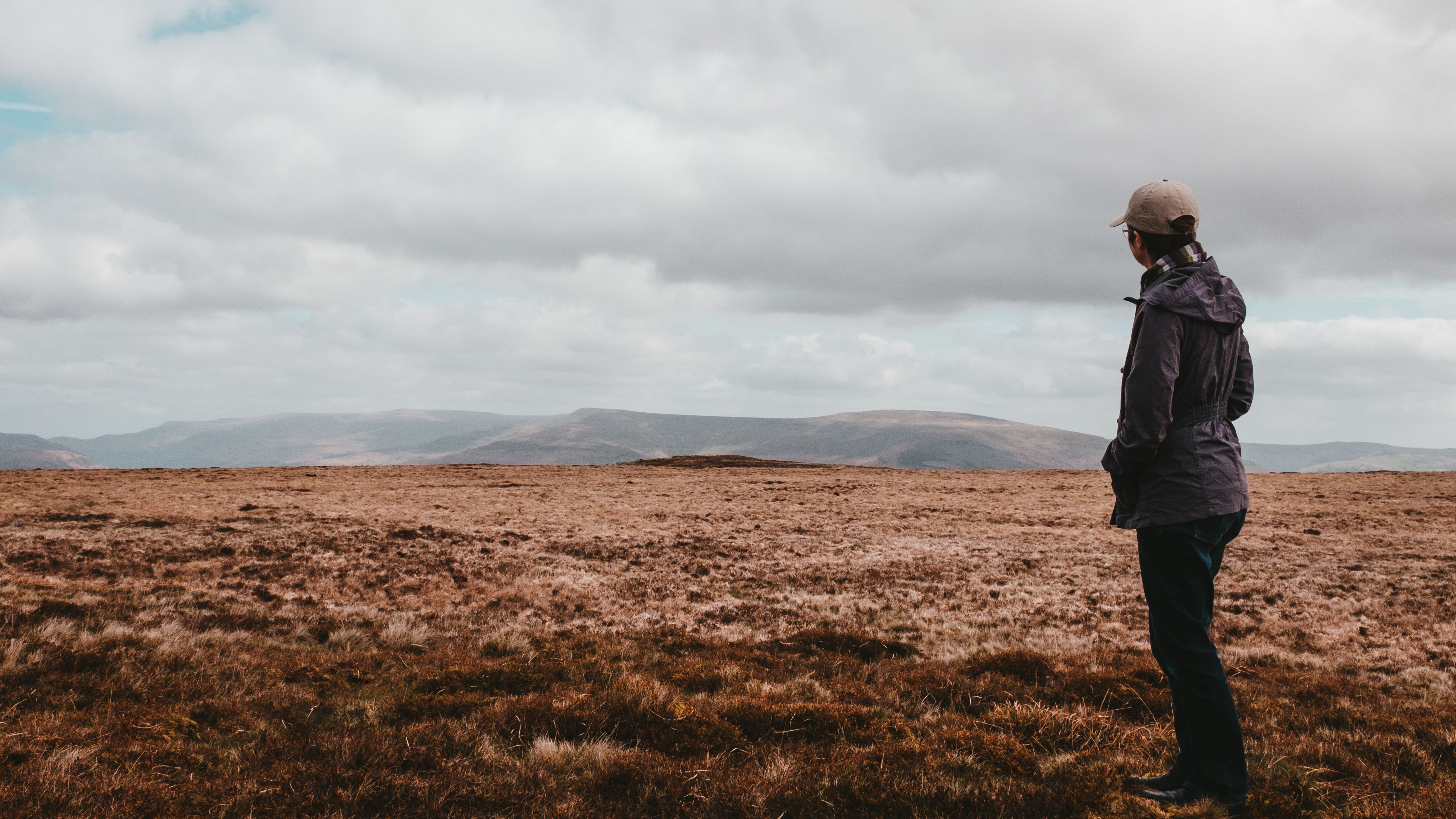 Person Standing under a Tree · Free Stock Photo