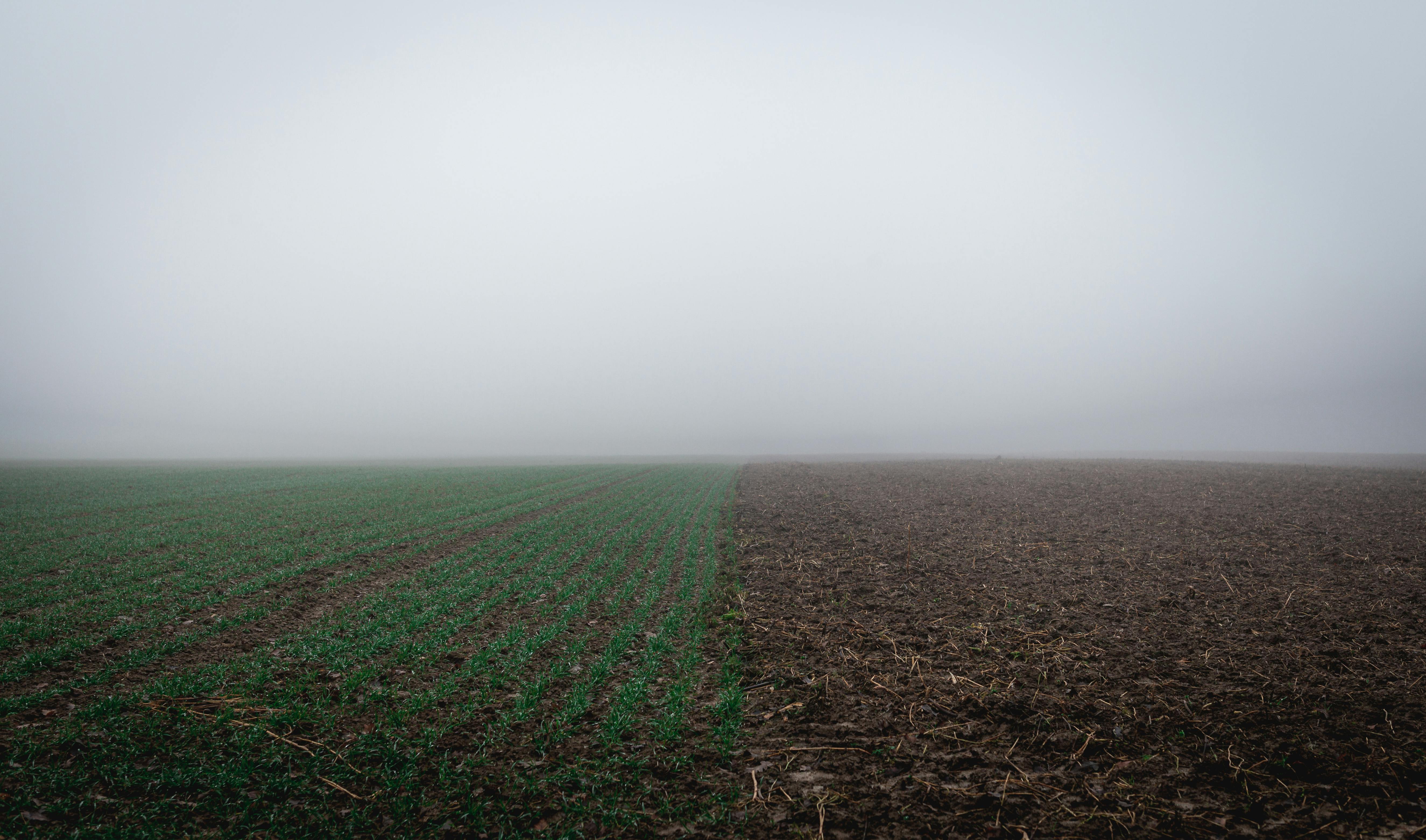 Aerial Photography of Open Field · Free Stock Photo