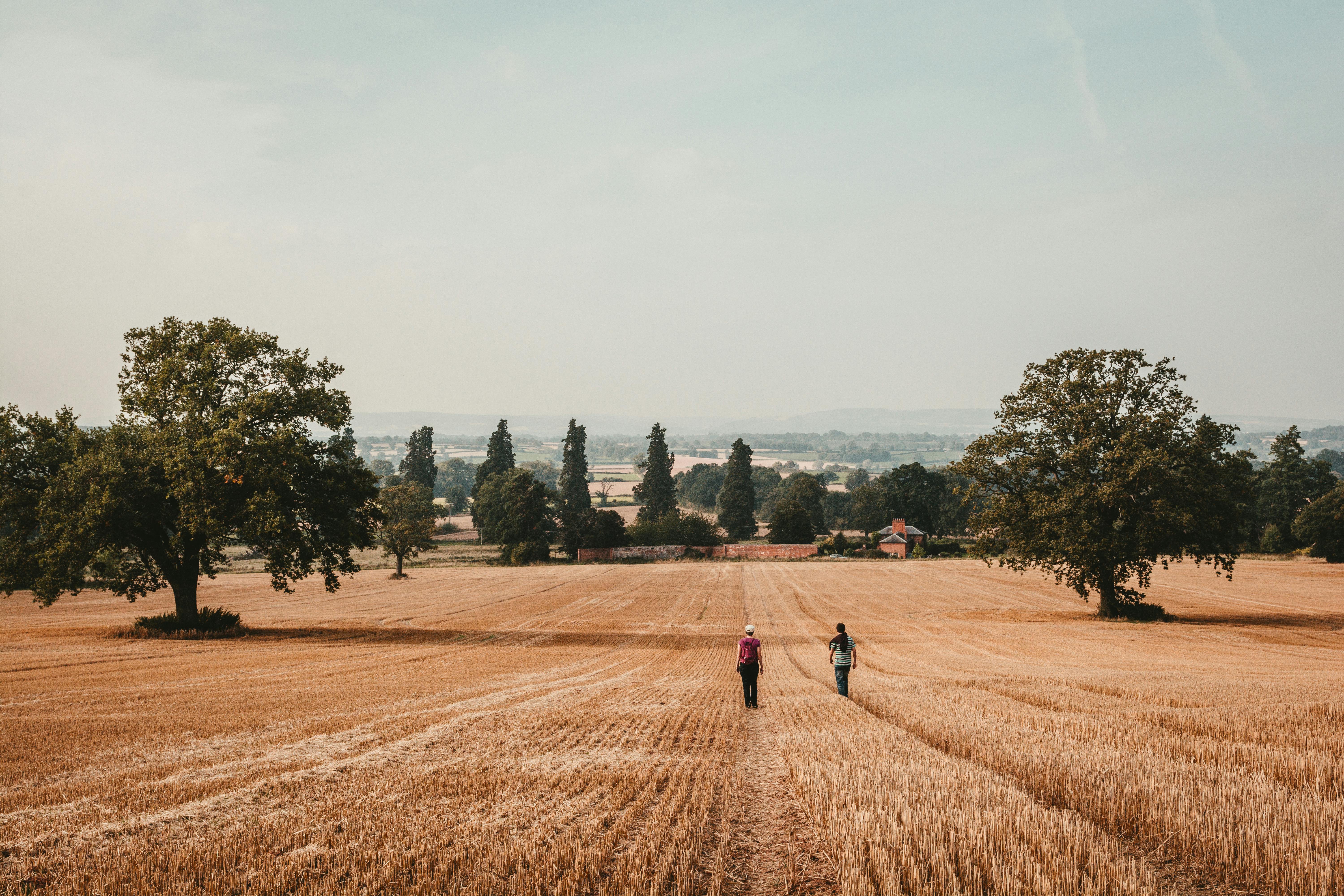 Two People Walking in a Field · Free Stock Photo