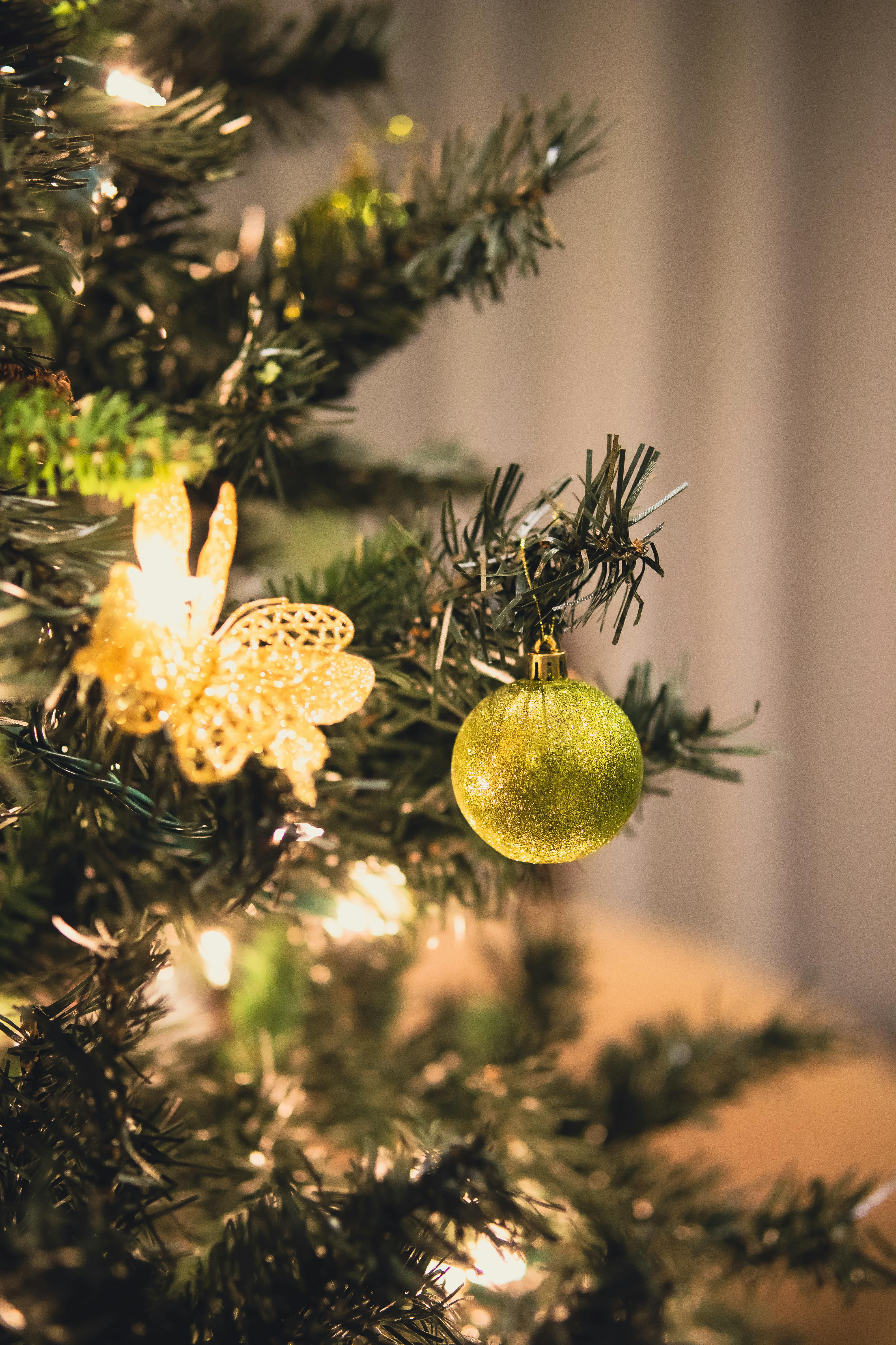 Green Christmas Tree · Free Stock Photo