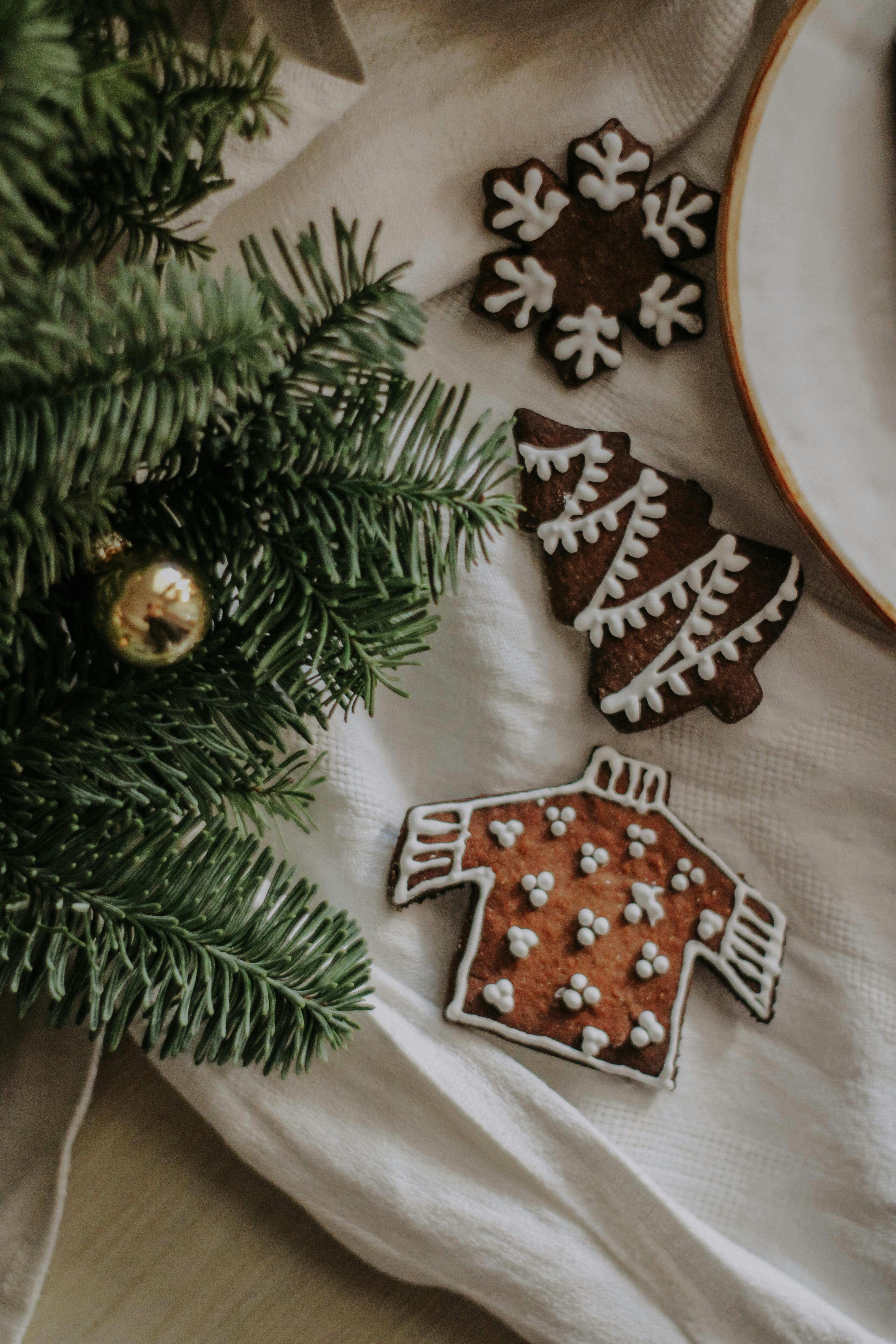 Festive Gingerbread House and Starry Night Scene · Free Stock Photo
