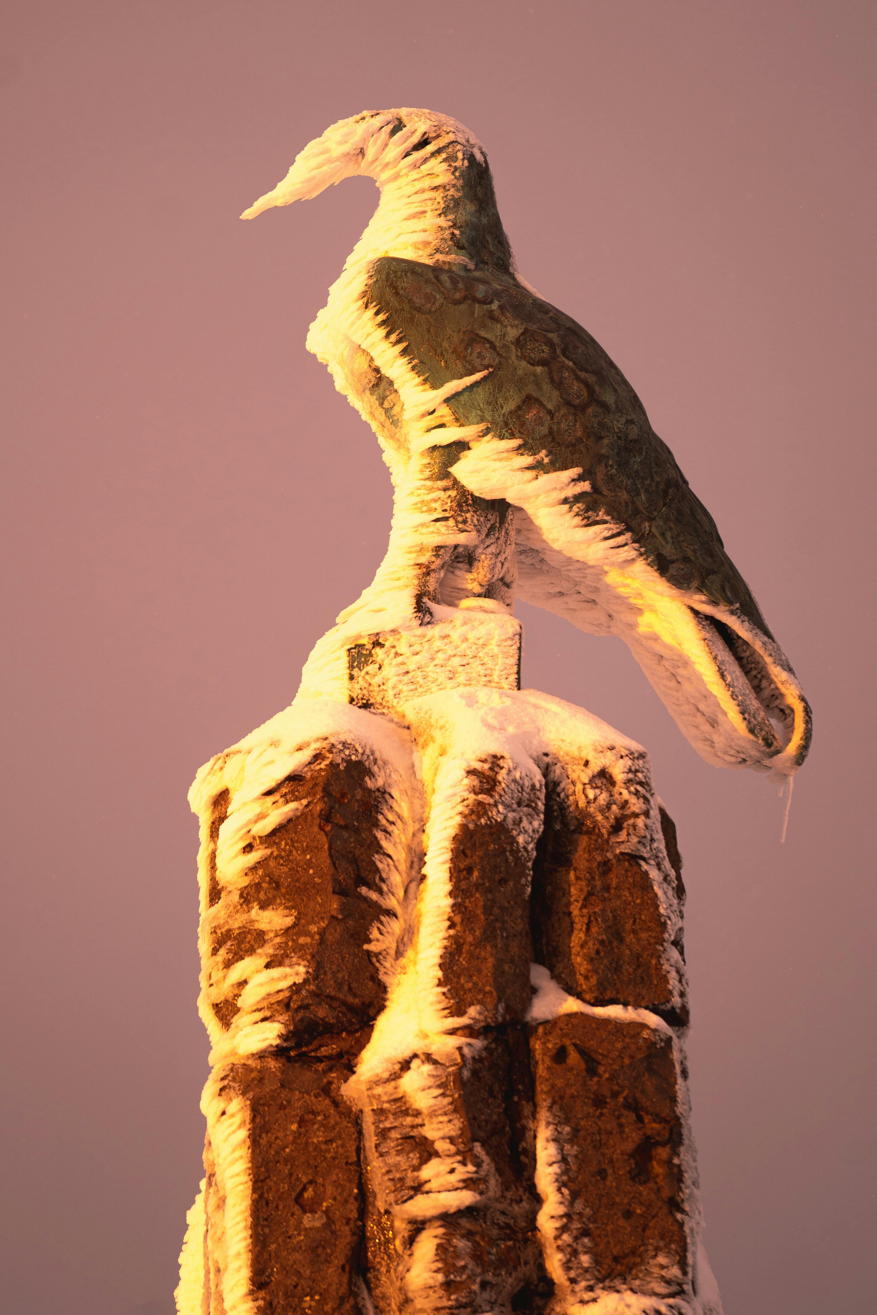 Casting Stone Photos, Download The BEST Free Casting Stone Stock Photos ...