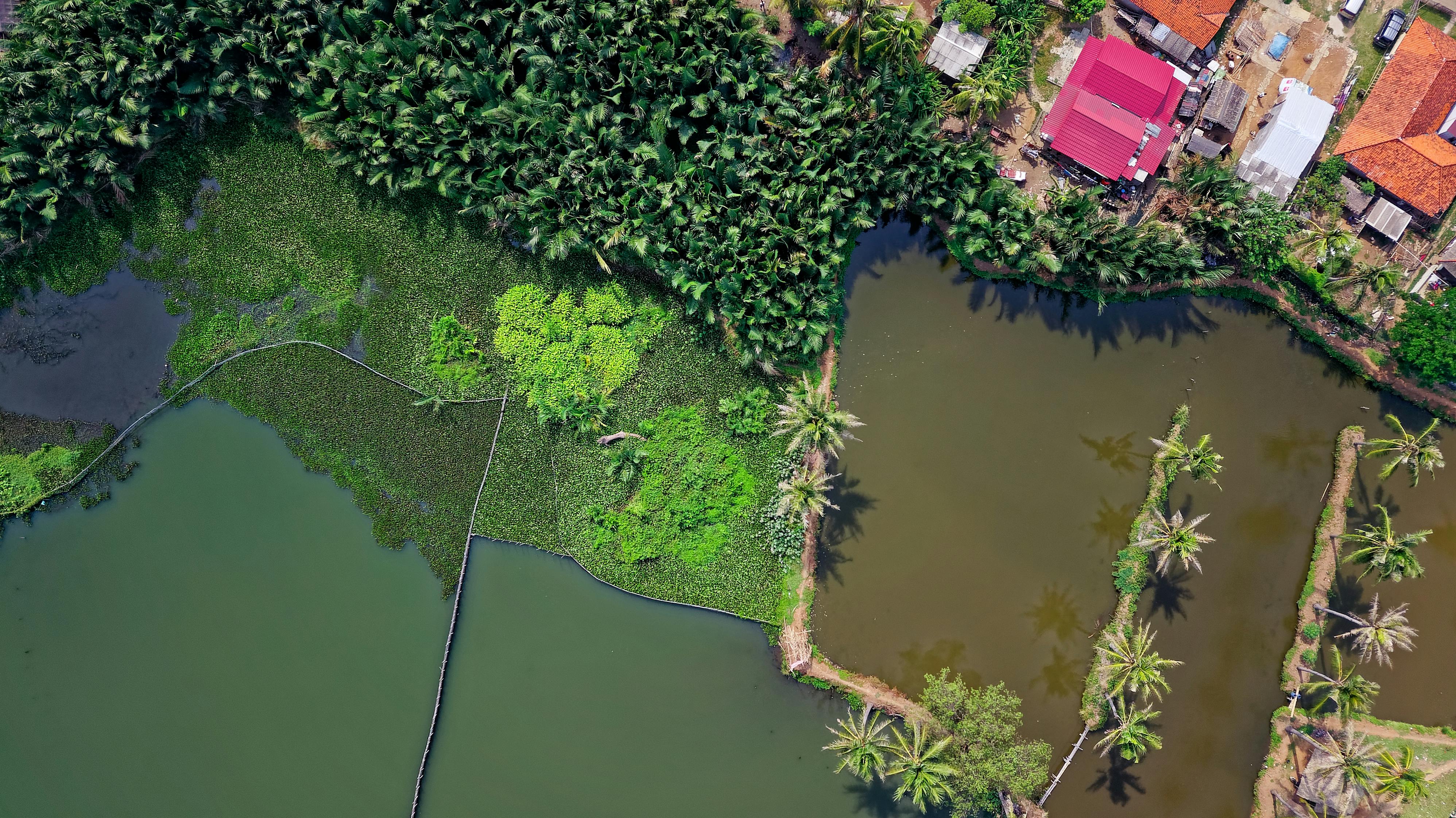 Aerial Photography of Body of Water · Free Stock Photo