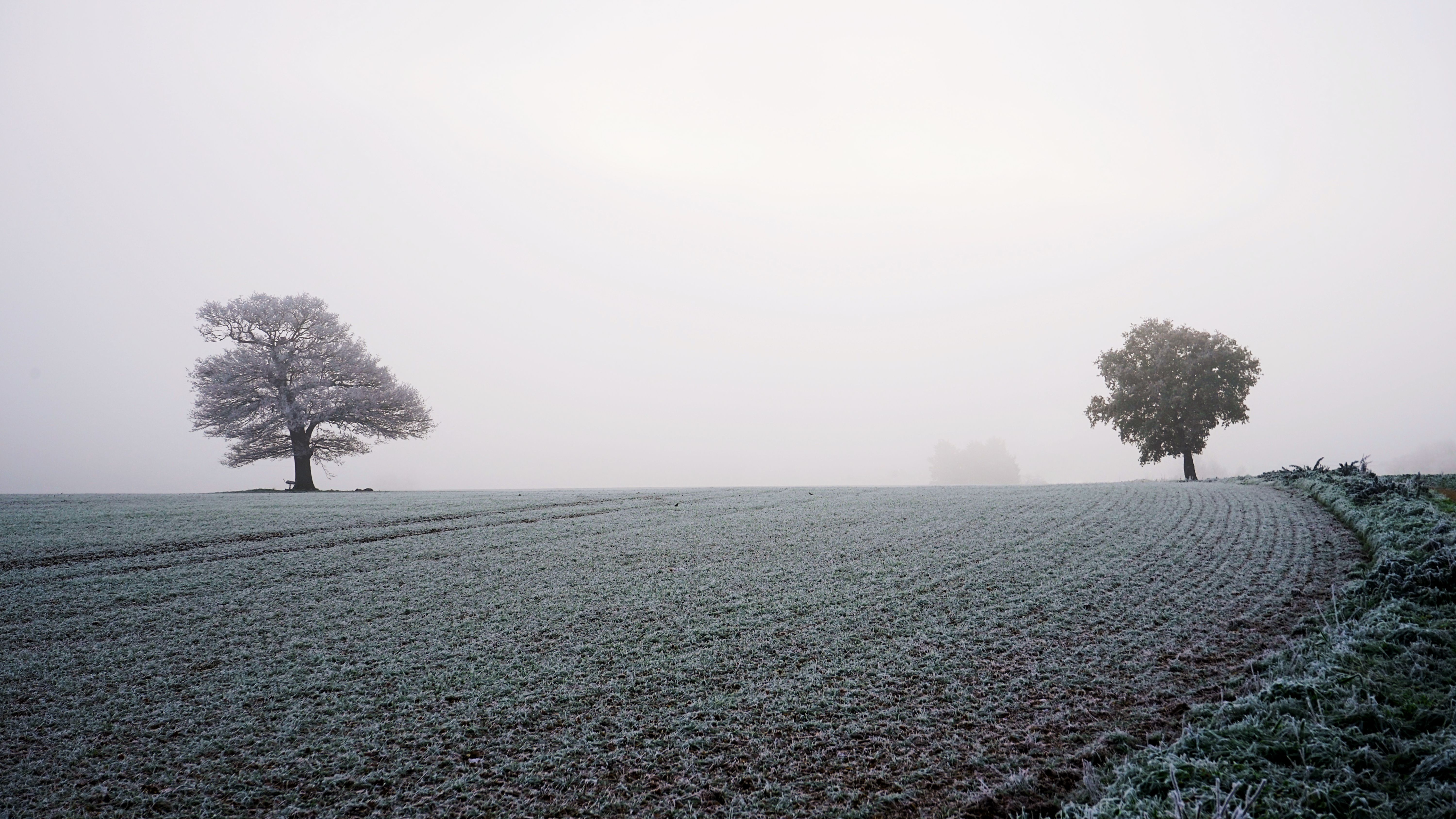 English Countryside Photos, Download The BEST Free English Countryside ...