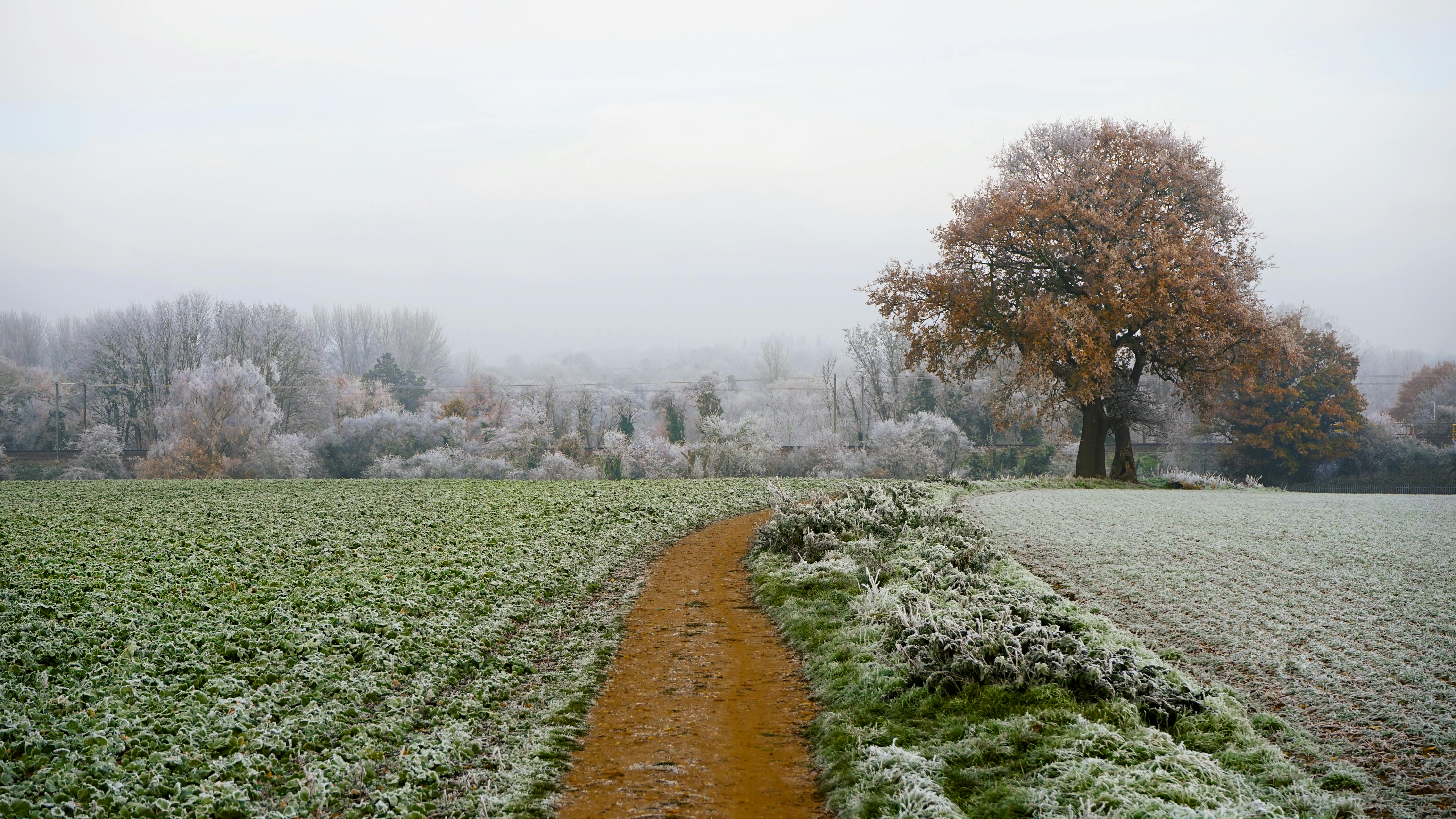English Countryside Photos, Download The BEST Free English Countryside ...