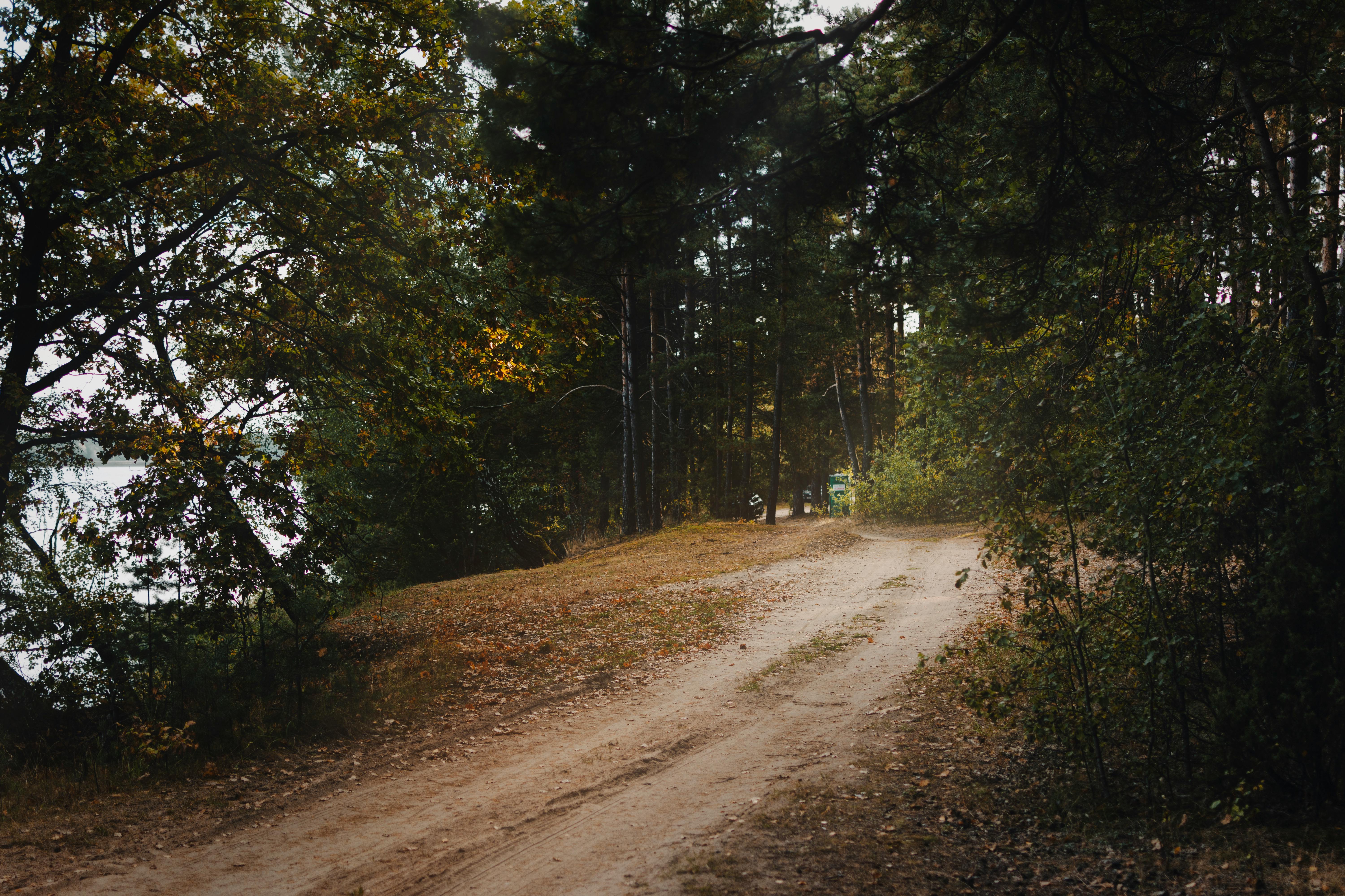 Rule Tree Loam Photos, Download The BEST Free Rule Tree Loam Stock ...