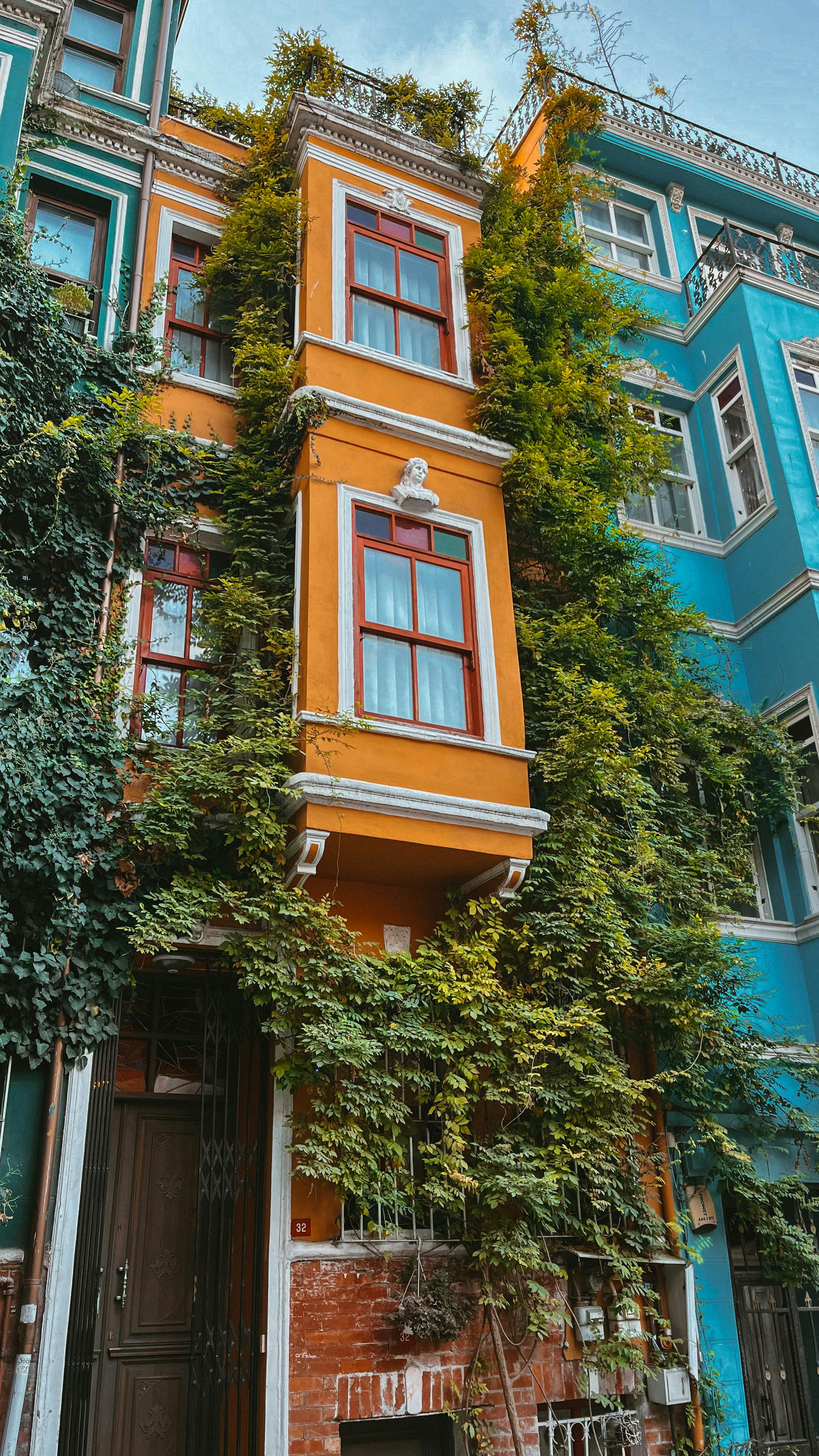 Clinging Plant on Facade of Townhouse · Free Stock Photo