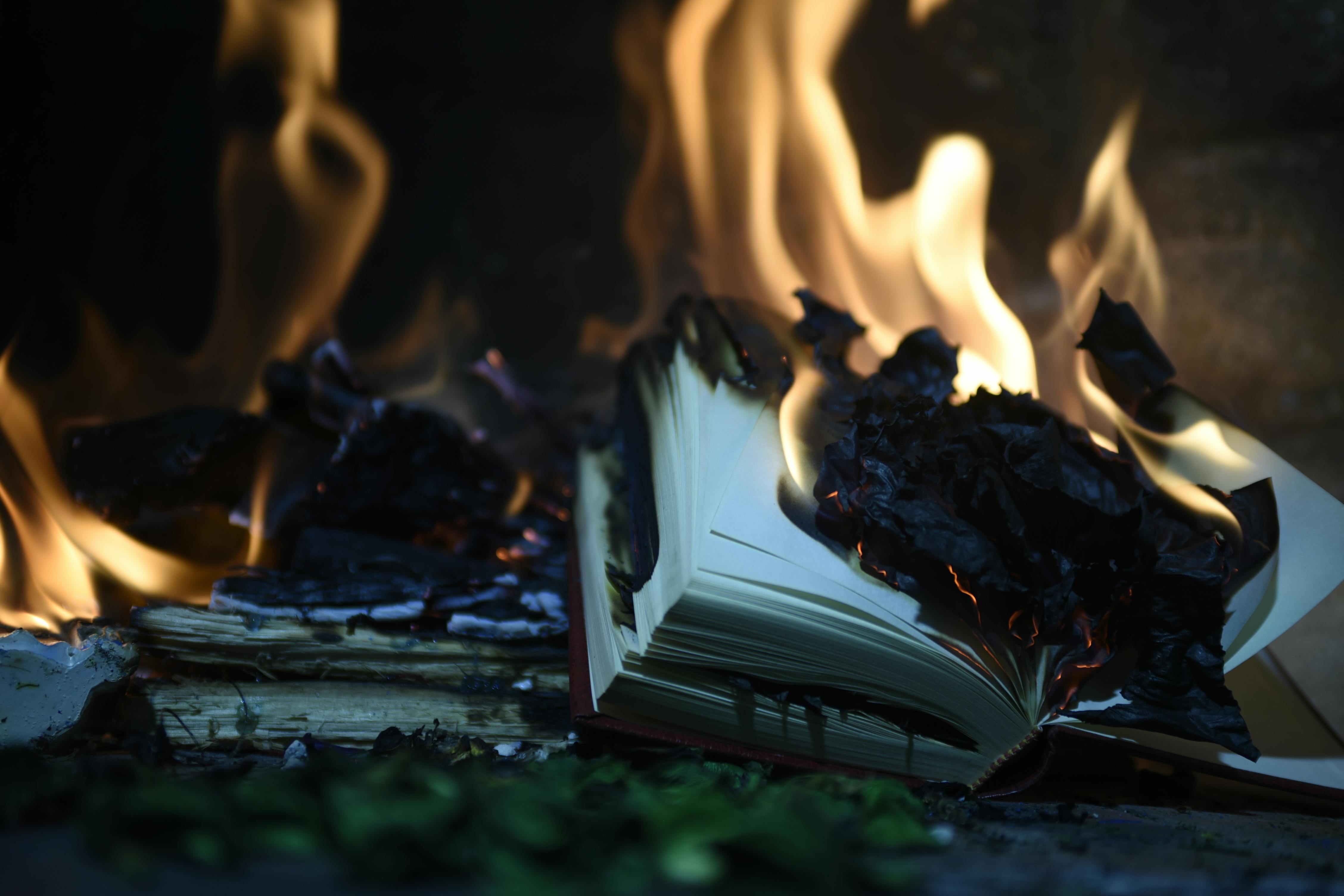 Free stock photo of bonfire, book fire, burning - Stock Image - Everypixel