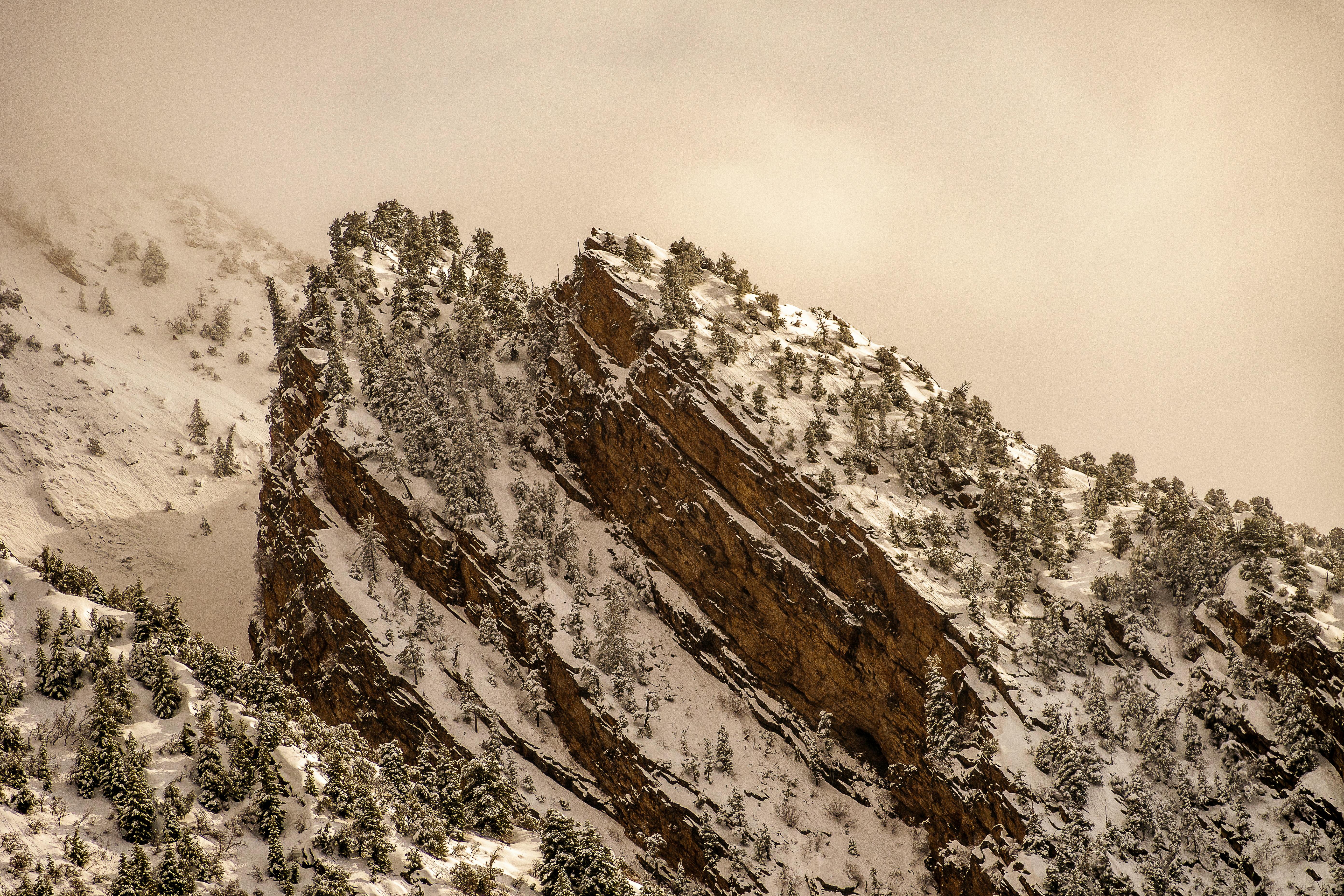 Matthew Montrone - 摄影