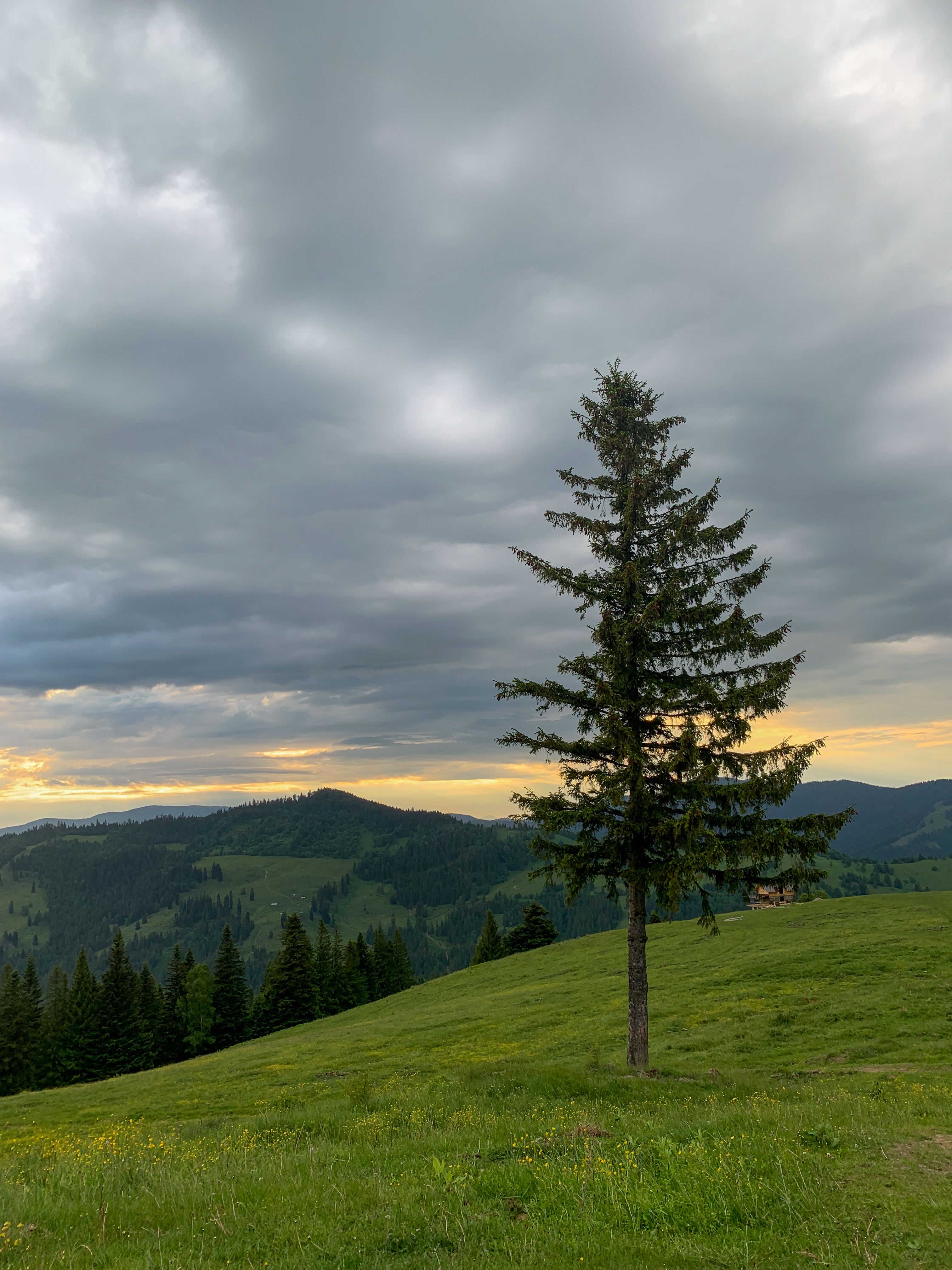Swedish Landscape Photos, Download The BEST Free Swedish Landscape ...