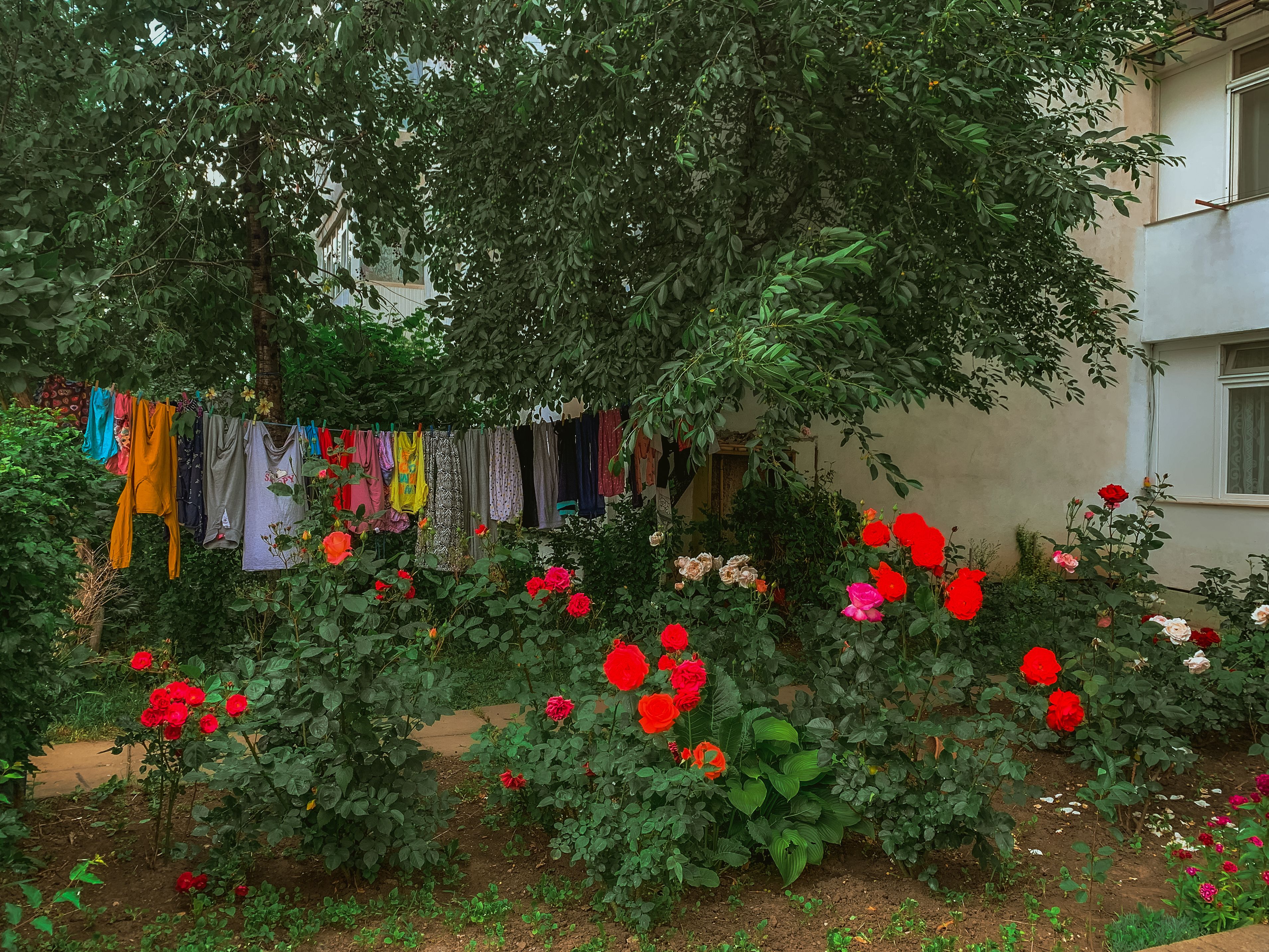 Drying Laundry in Garden · Free Stock Photo