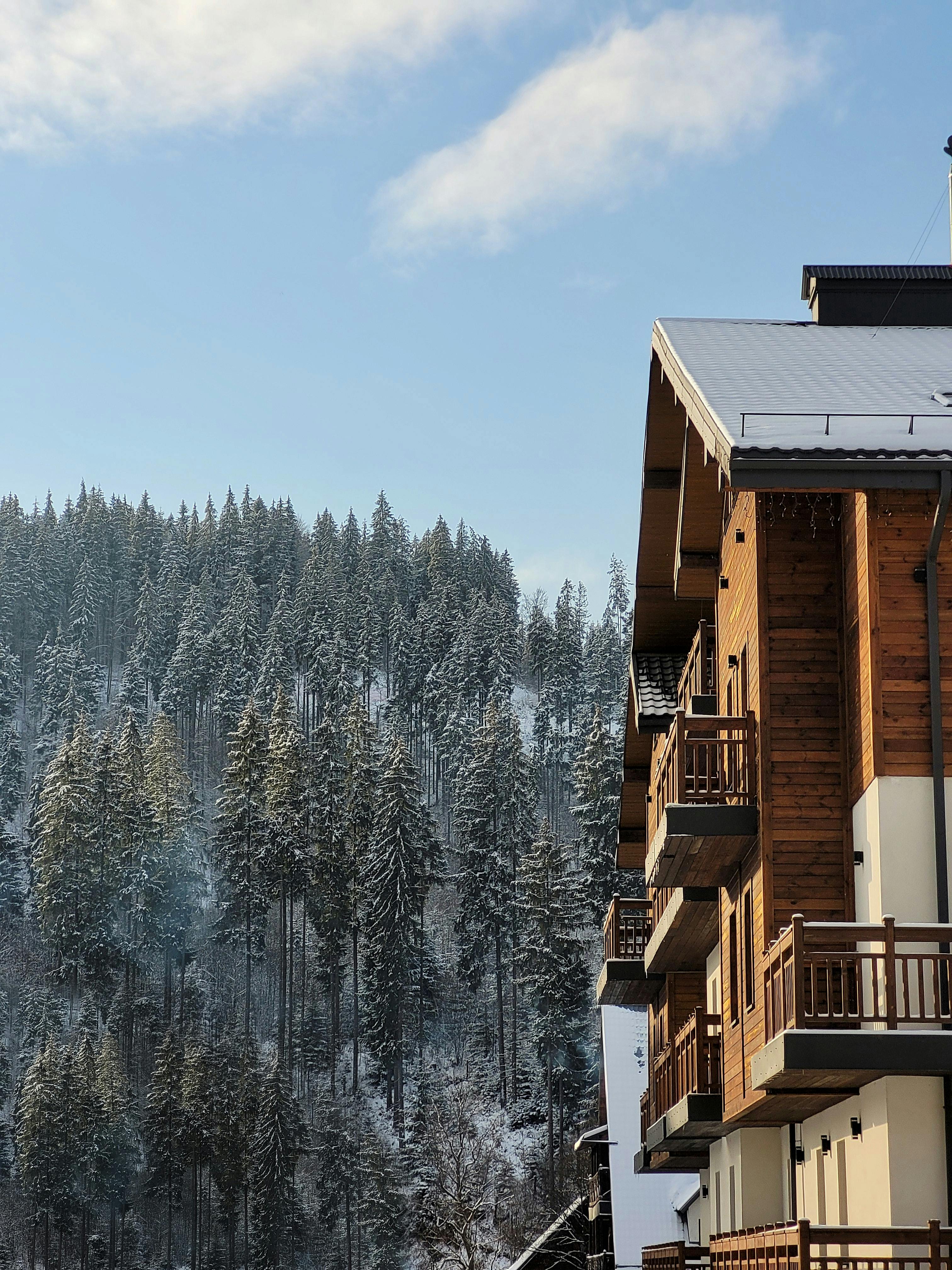 House In Between Forest Photos, Download The BEST Free House In Between ...