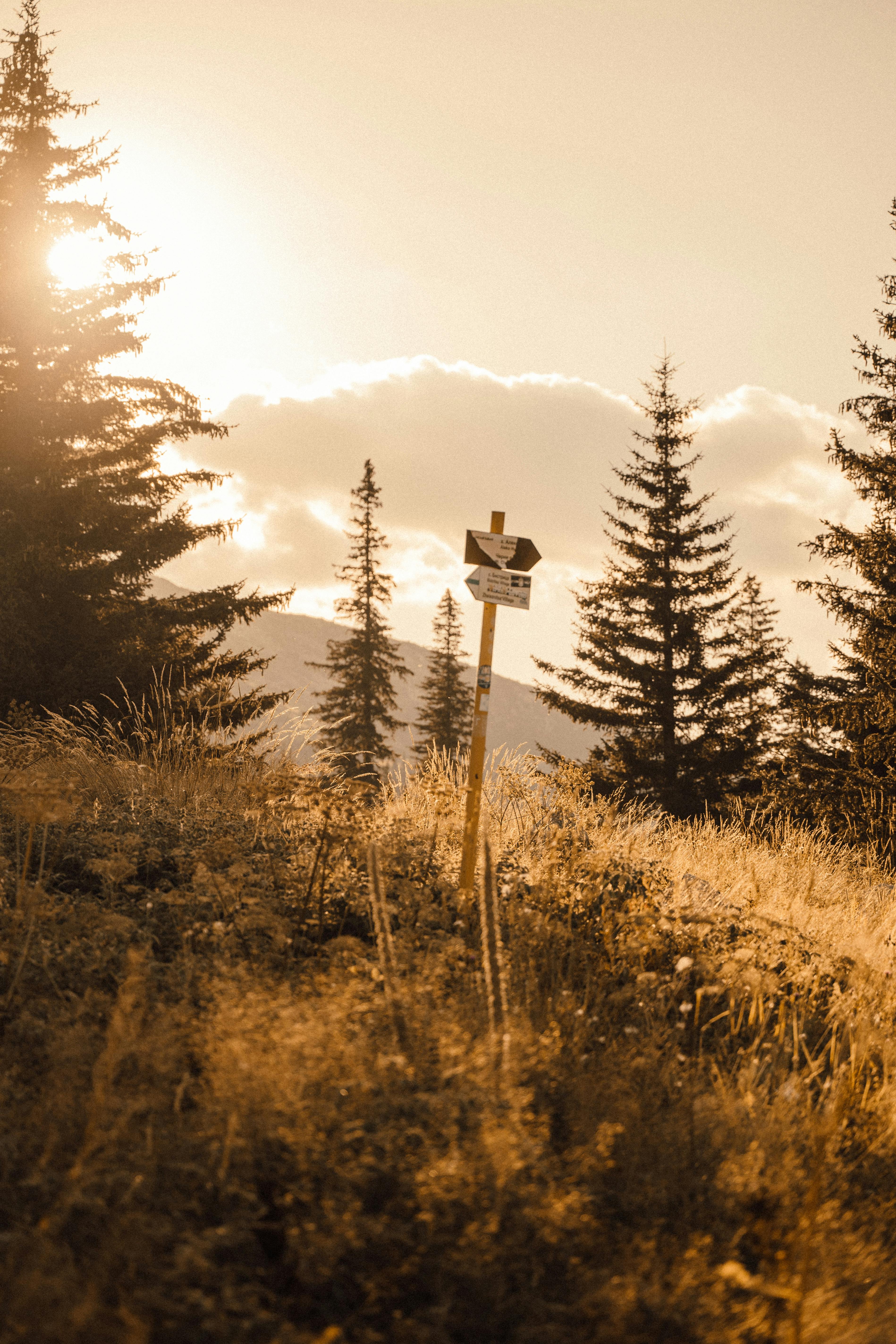 Directional Sign on a Hill at Dawn · Free Stock Photo