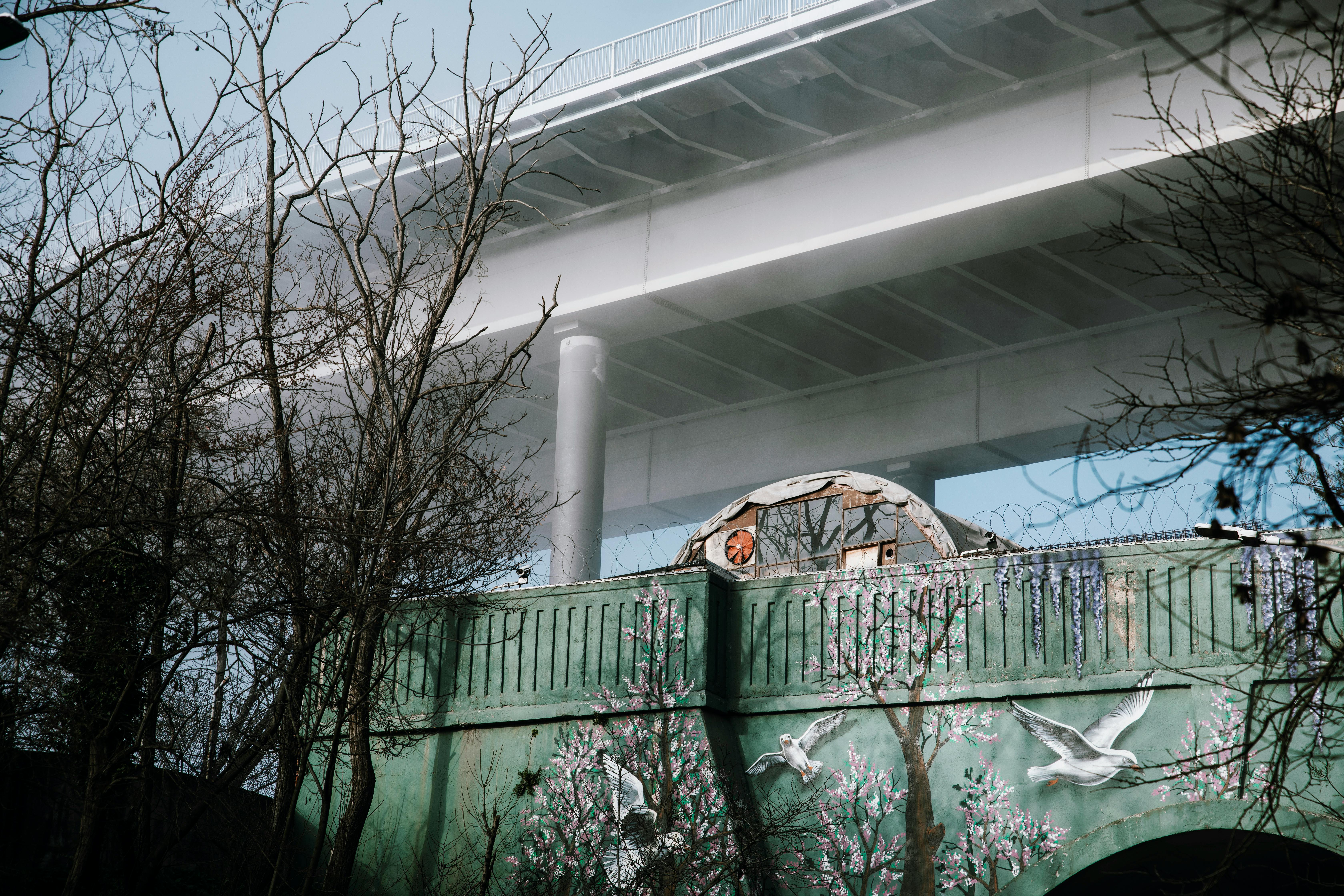 Collaborative Tree Art Mural Photos, Download The BEST Free ...