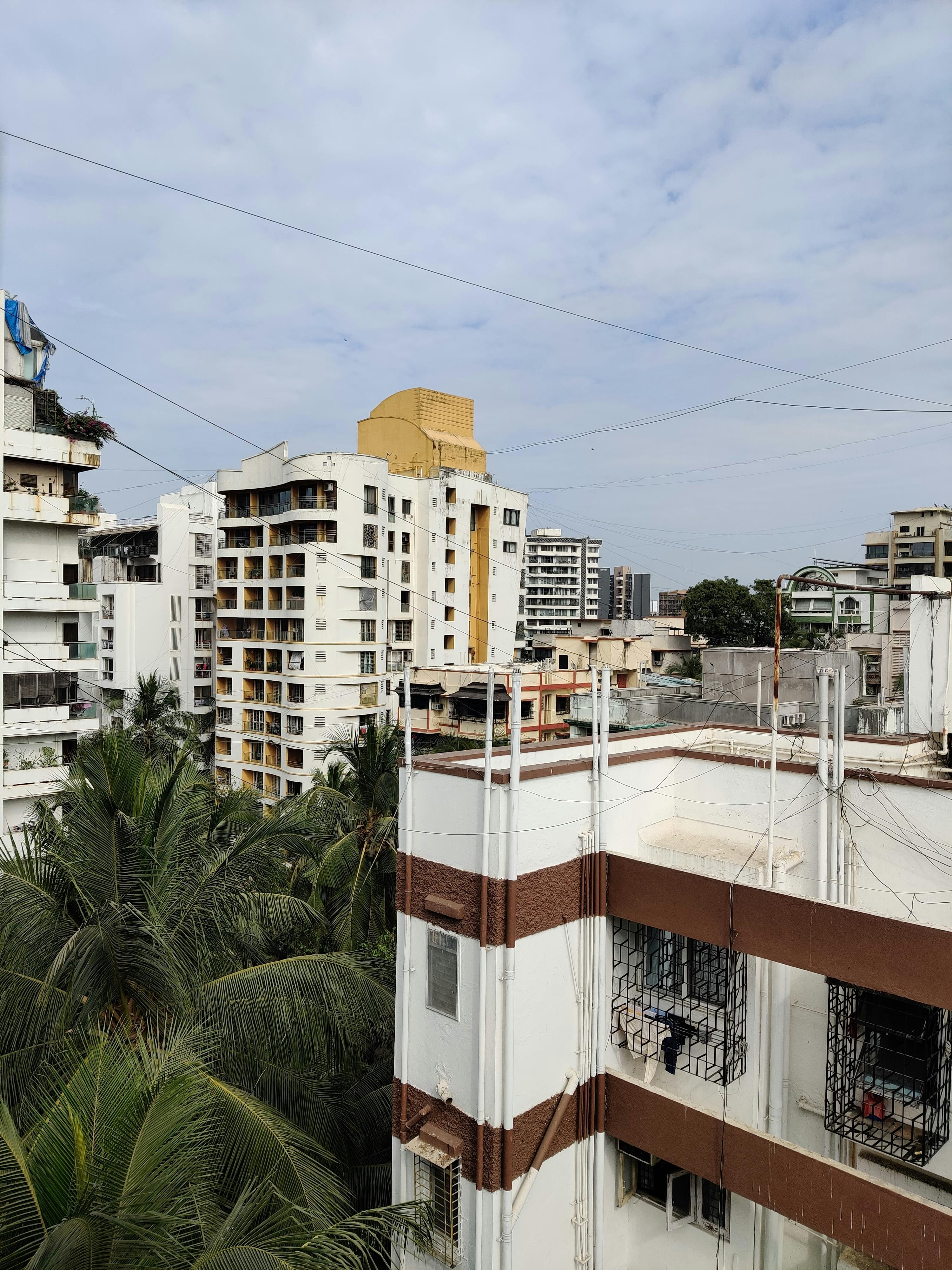 Palm Trees Near Apartment Buildings in the City · Free Stock Photo