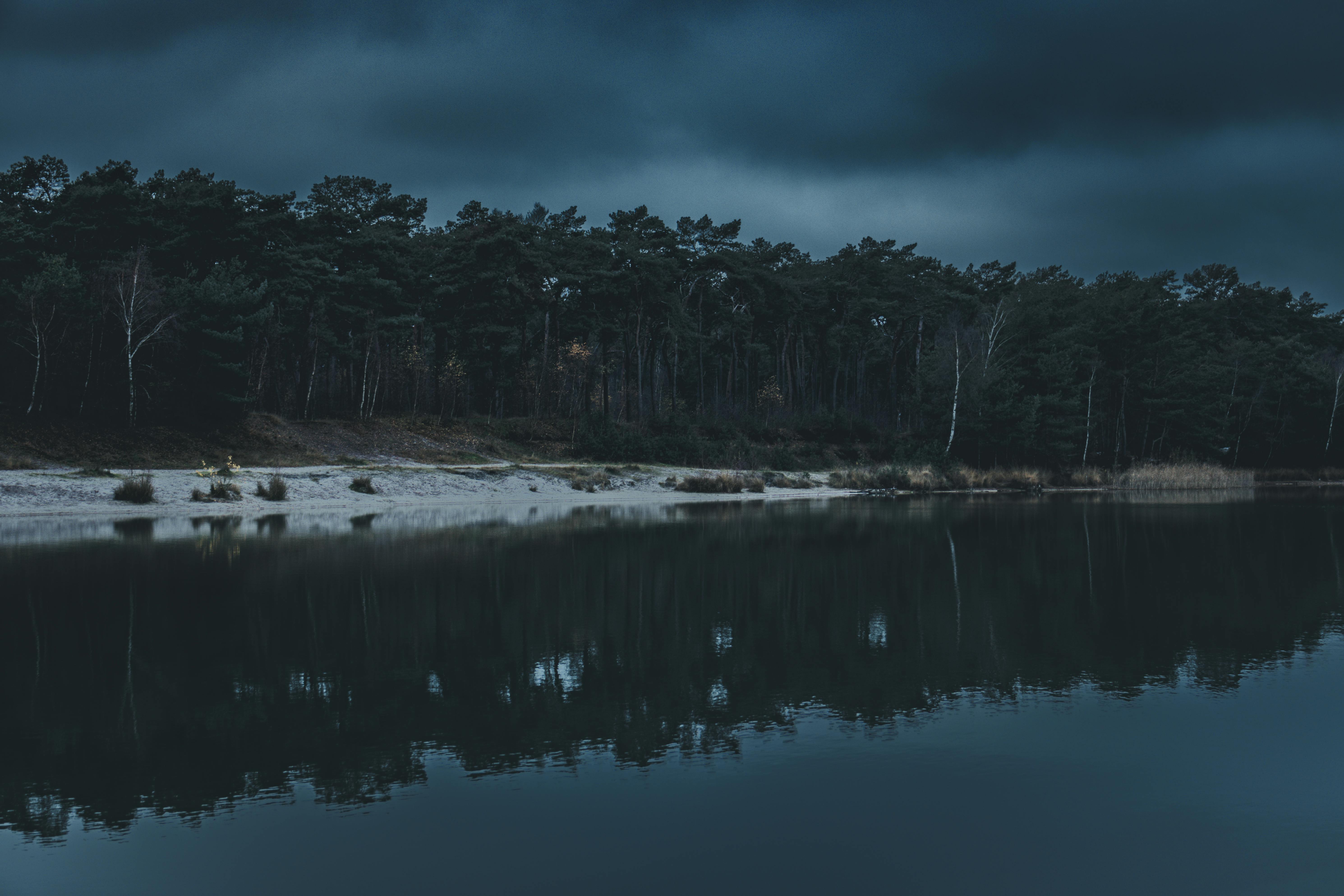 Lakeshore in Evening · Free Stock Photo