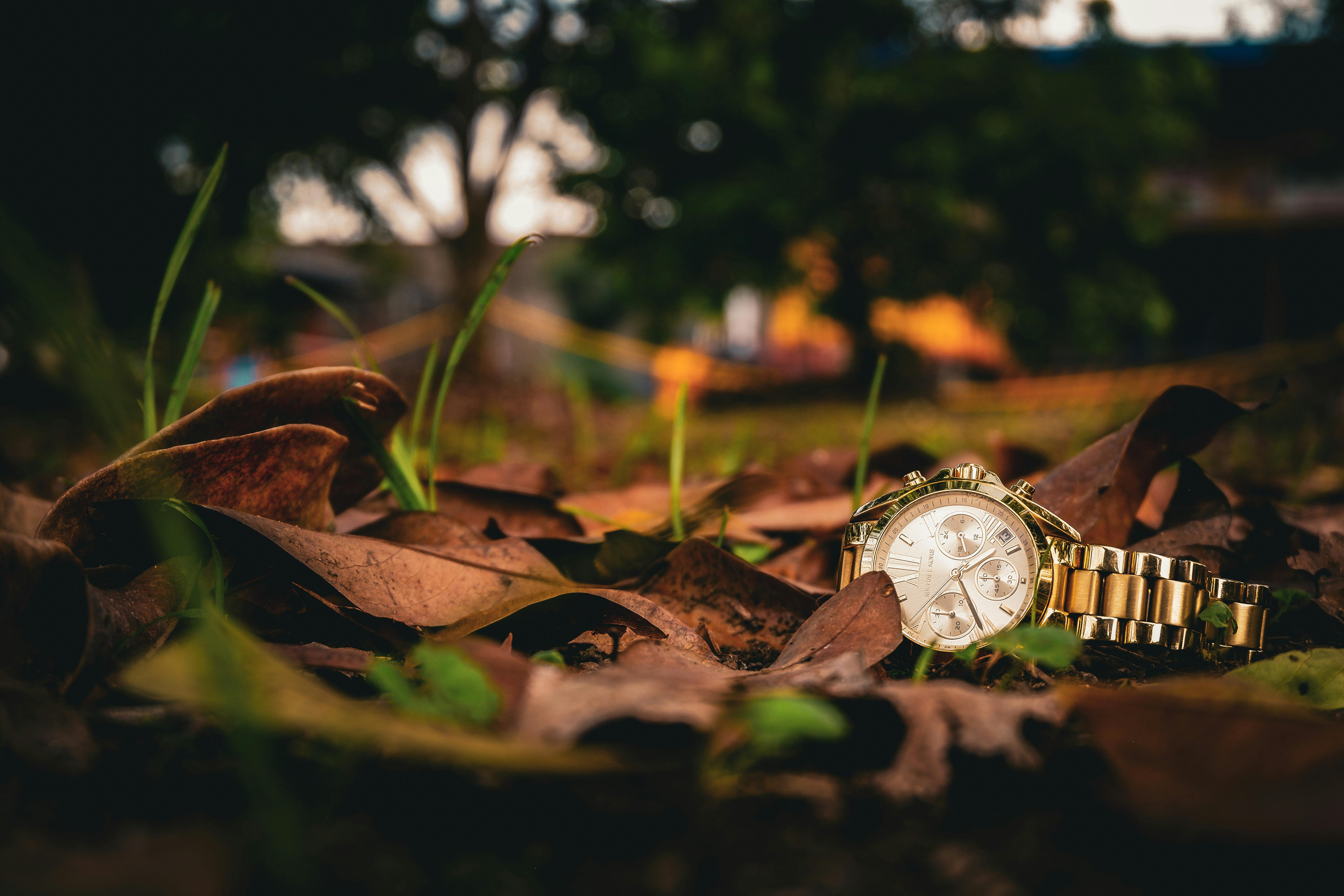 Fall Time Photos, Download The BEST Free Fall Time Stock Photos & HD Images