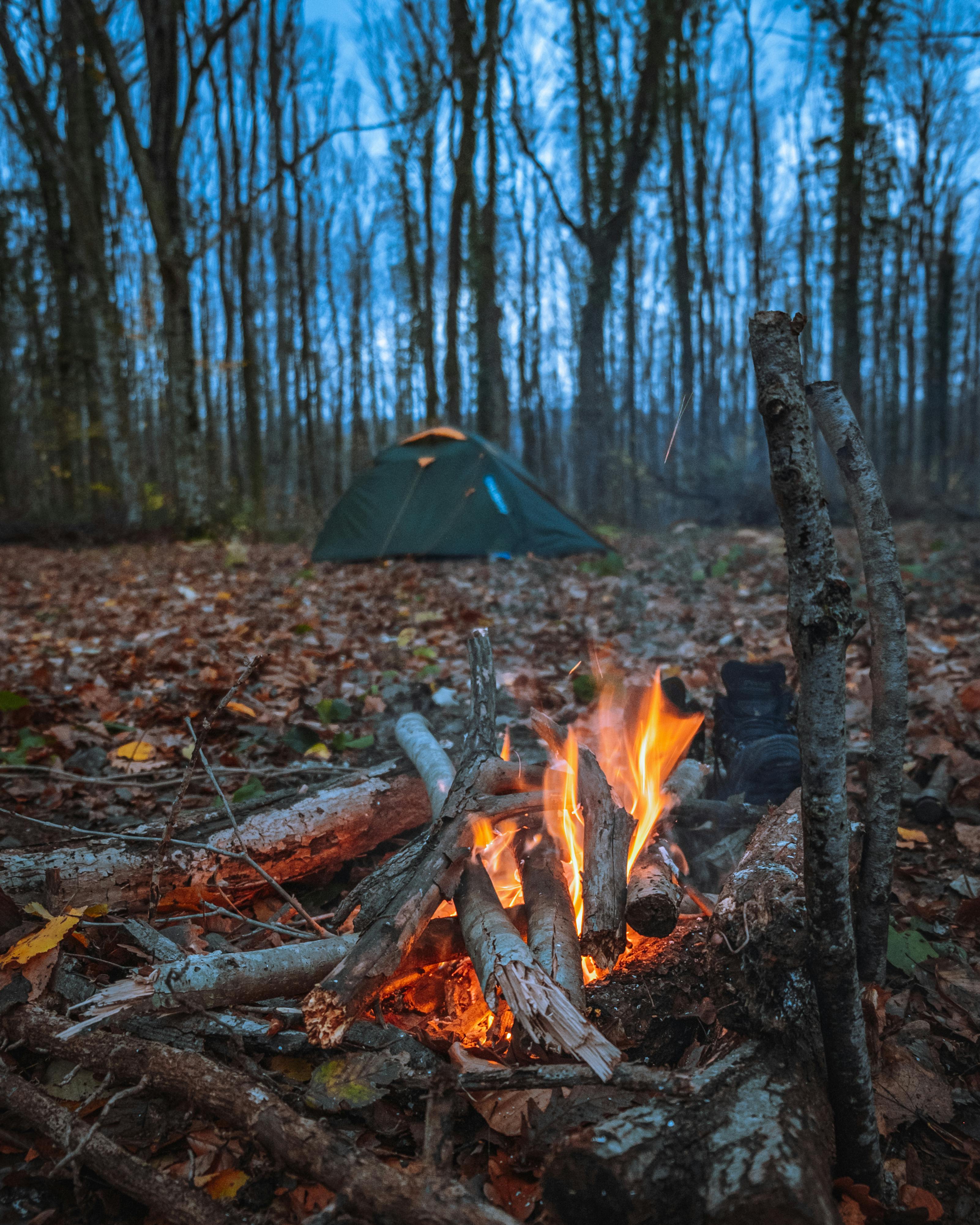Bonfire on Green Grass Field · Free Stock Photo